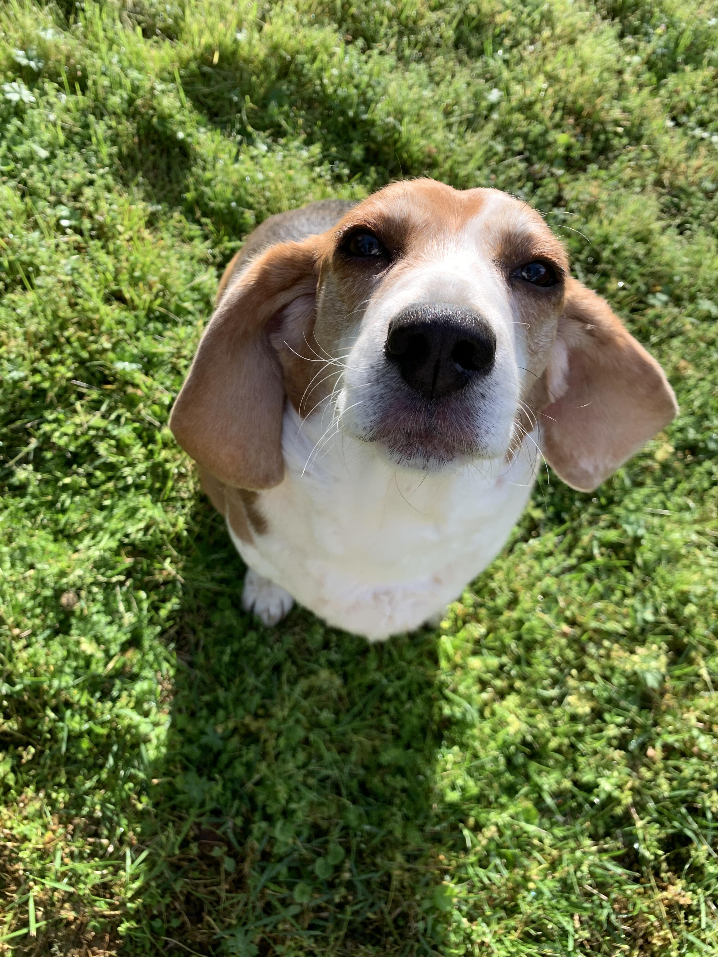 Mr. Clancy | Scrolller