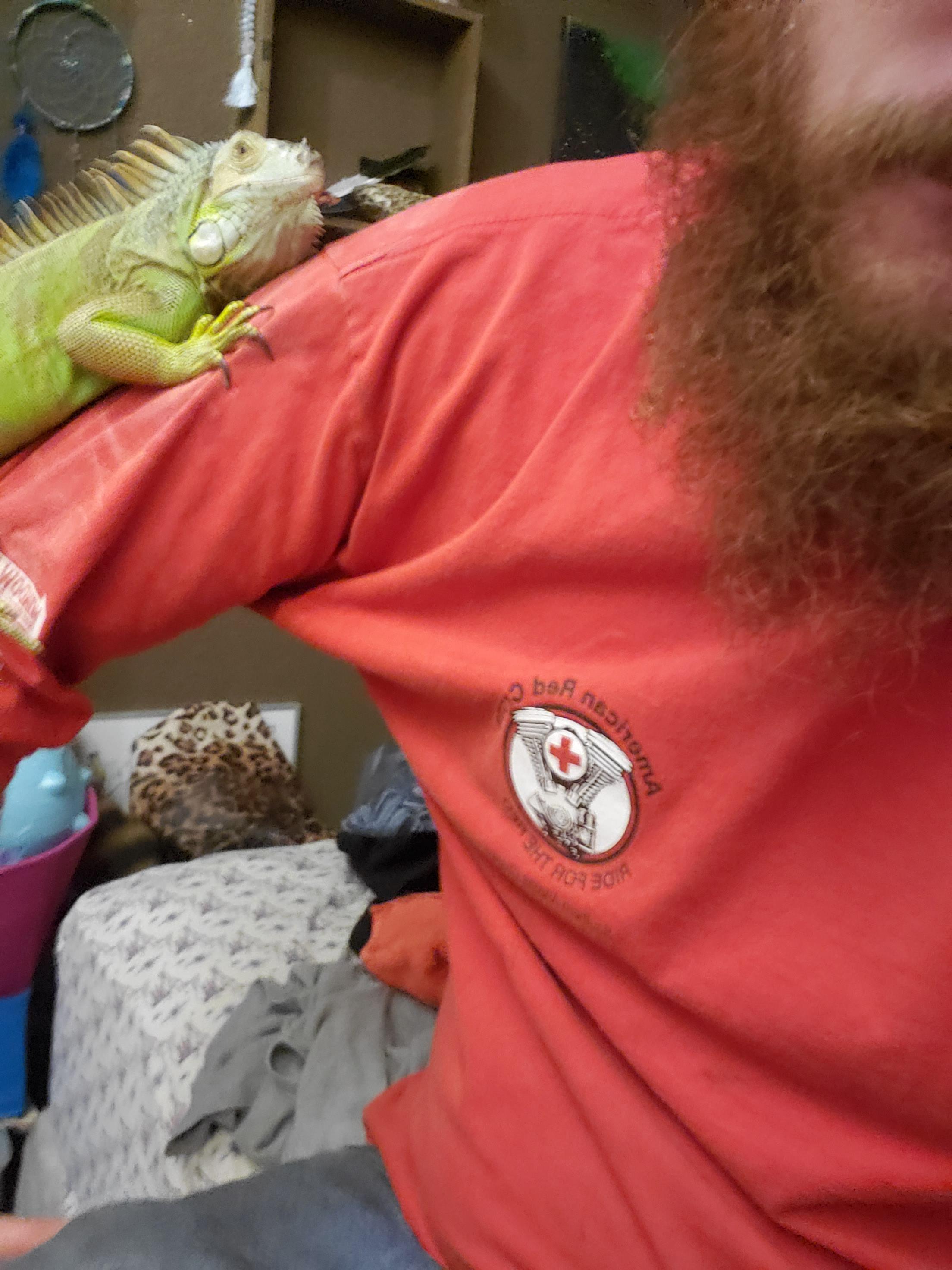 Mr limón getting bigger | Scrolller