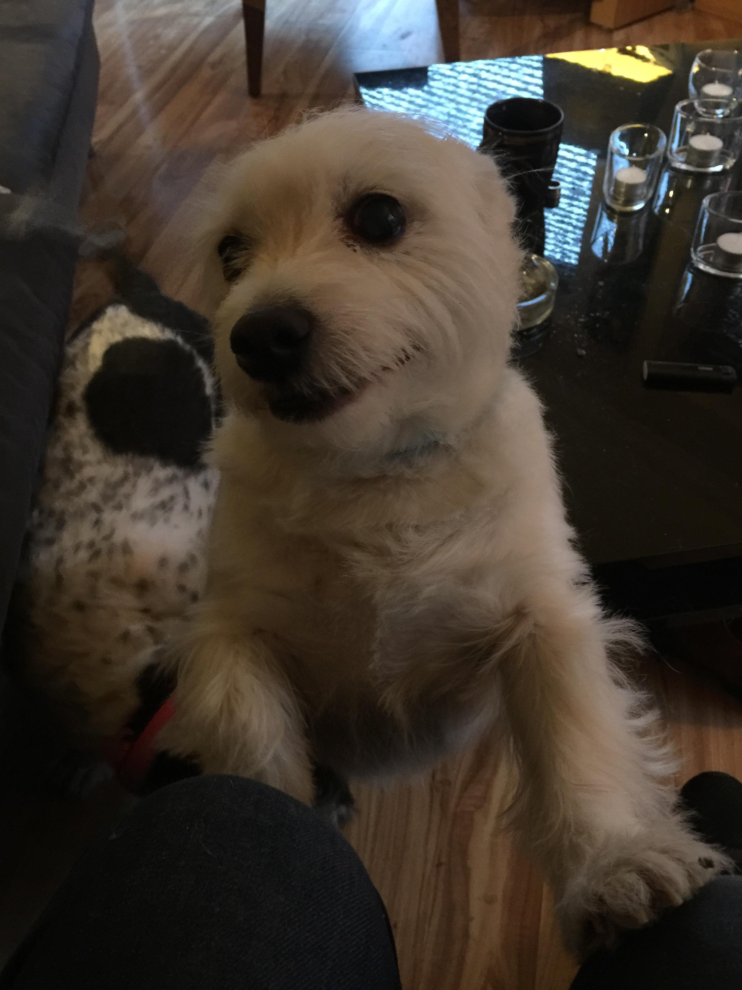 Mr. steal Your Girl | Scrolller