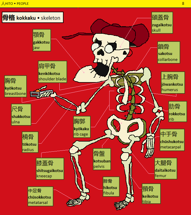 MS Paint VisDict. 8: 骨格 [kokkaku • skeleton] | Scrolller
