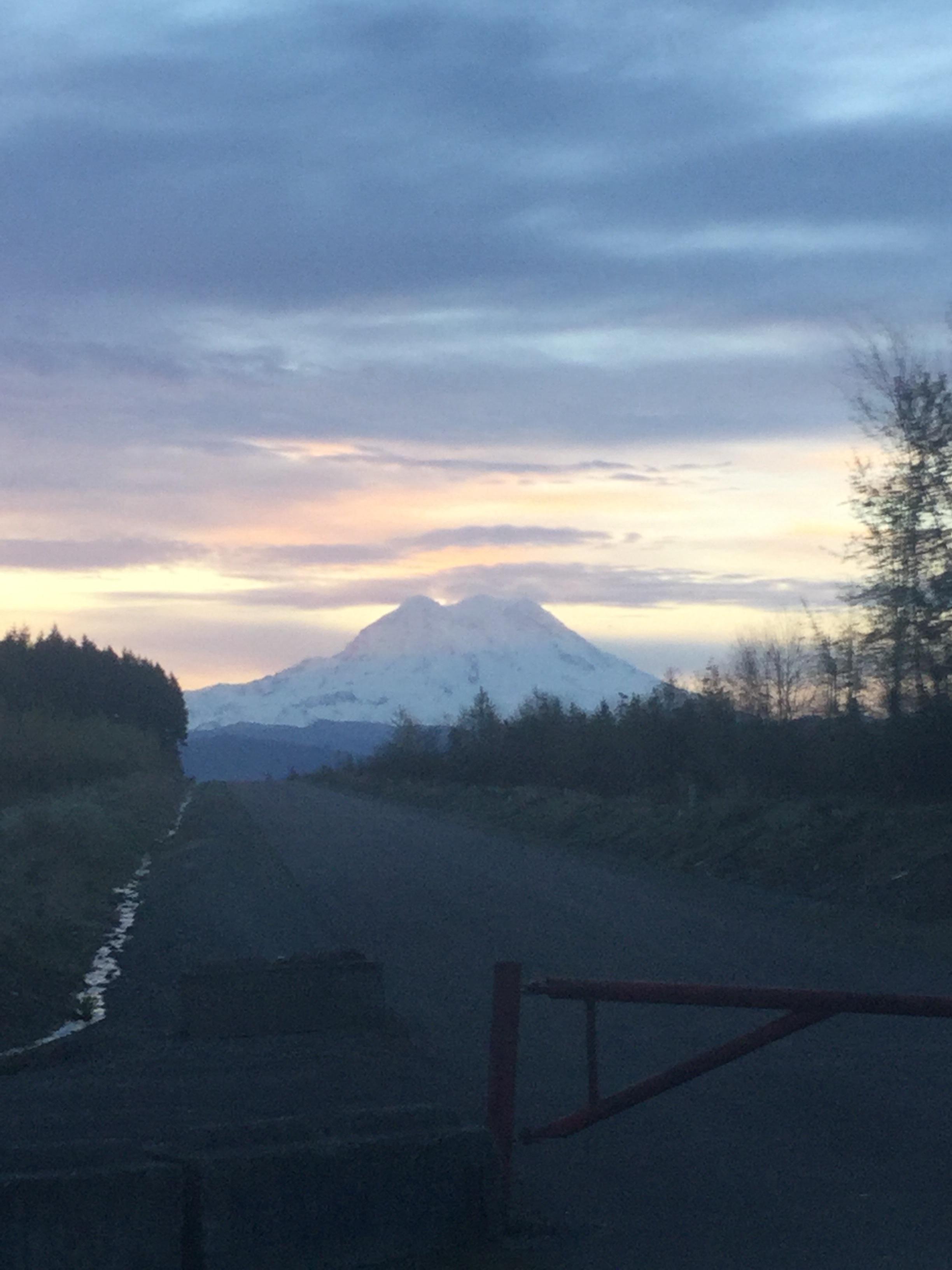 Mt. Rainier in the morning. | Scrolller