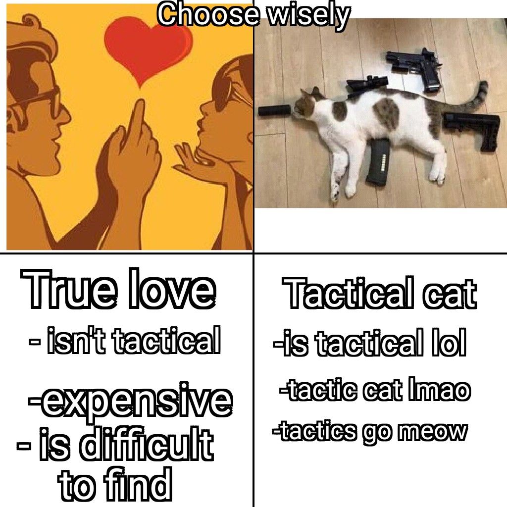 Much tactical. | Scrolller