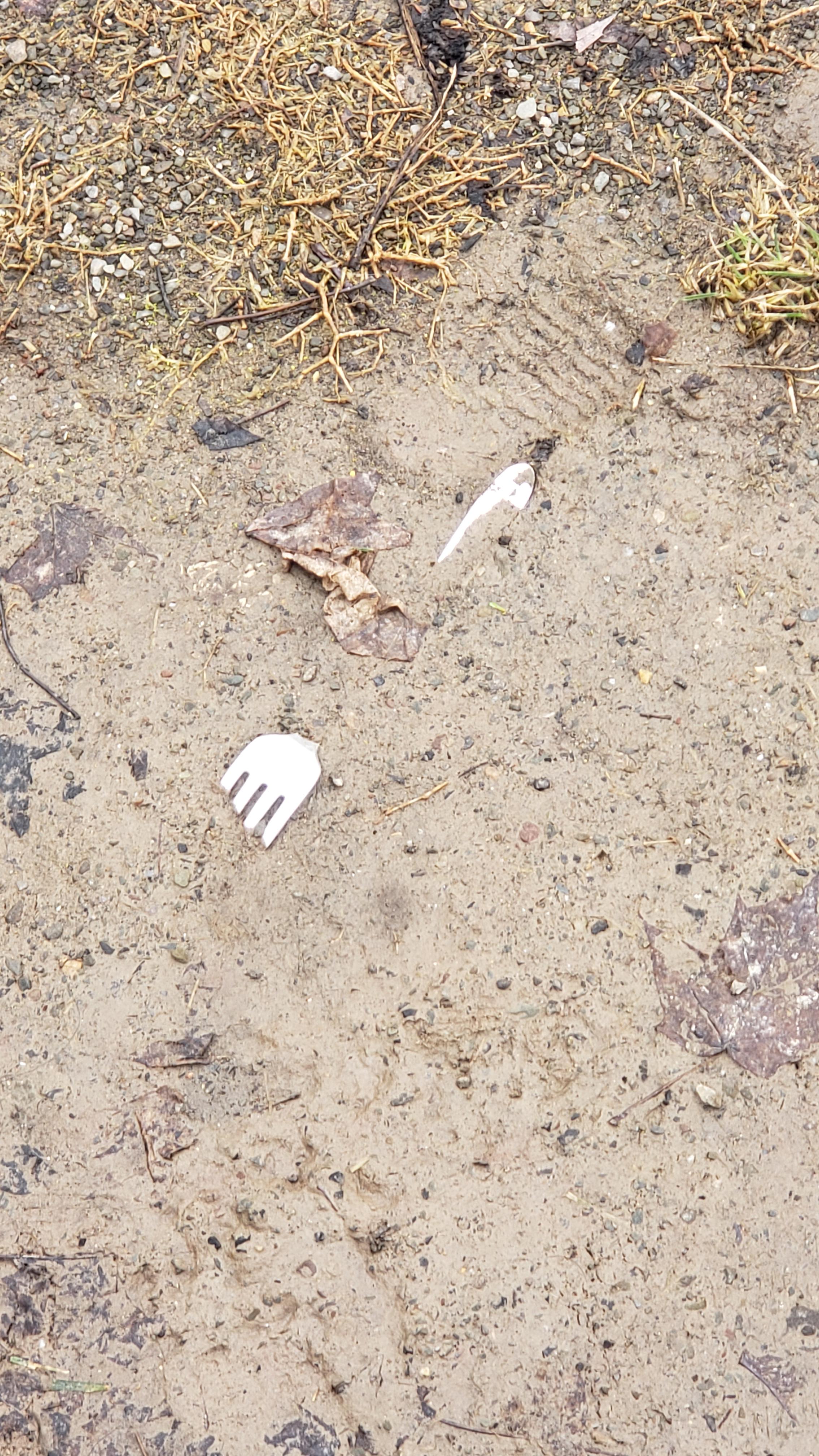 muddy fork | Scrolller