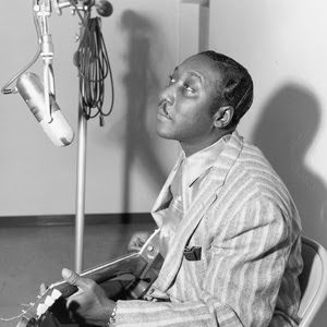 Muddy Waters | Scrolller