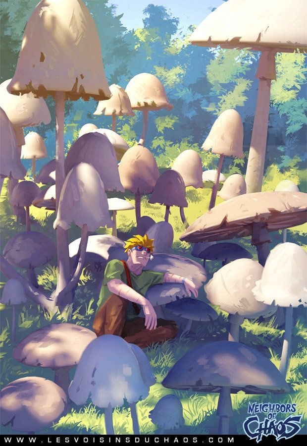 Mushrooms by Sylvain Sarrailh | Scrolller