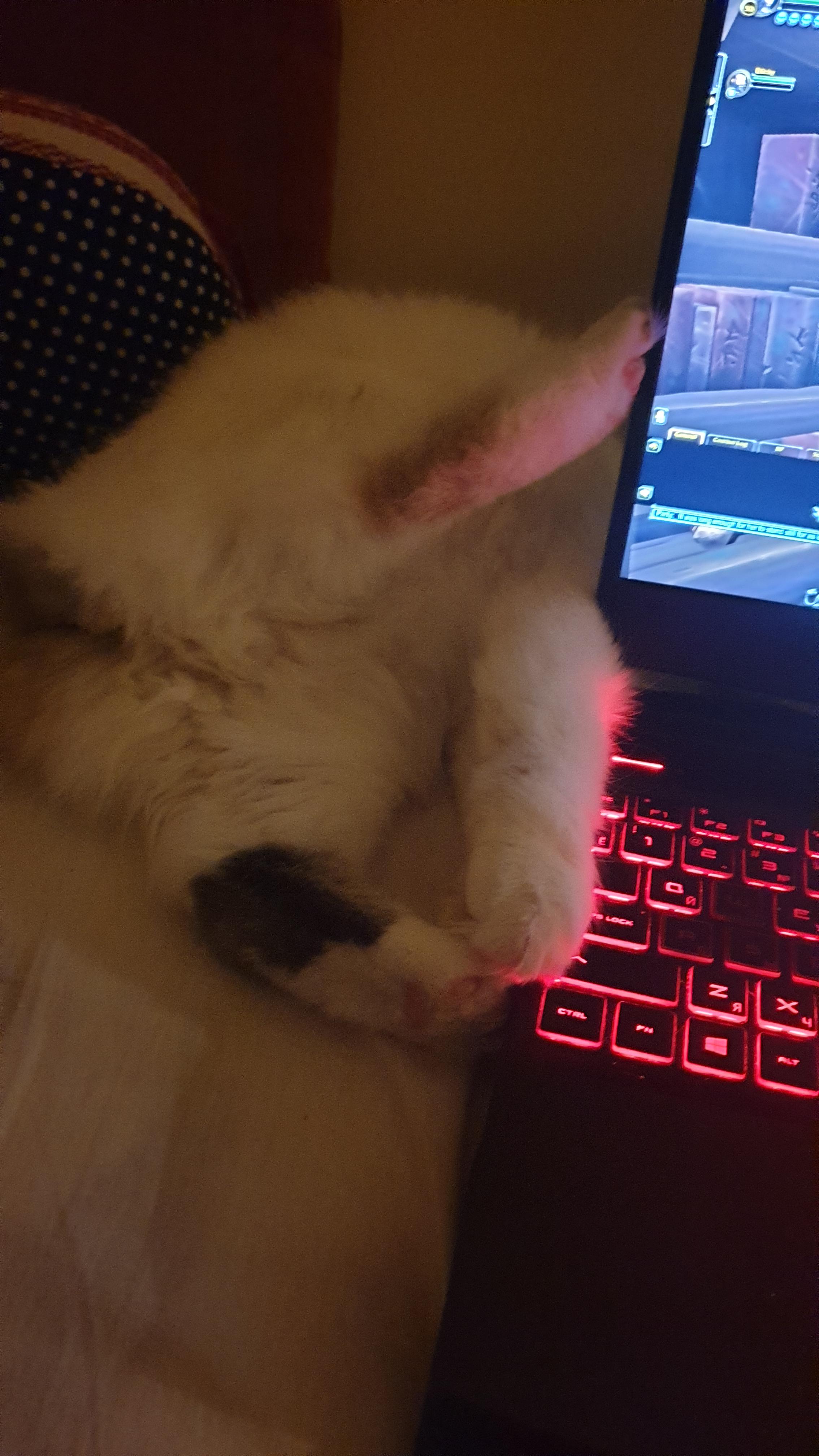 Must be comfortable | Scrolller