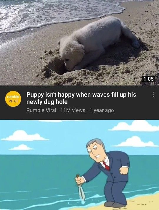 Must protec | Scrolller