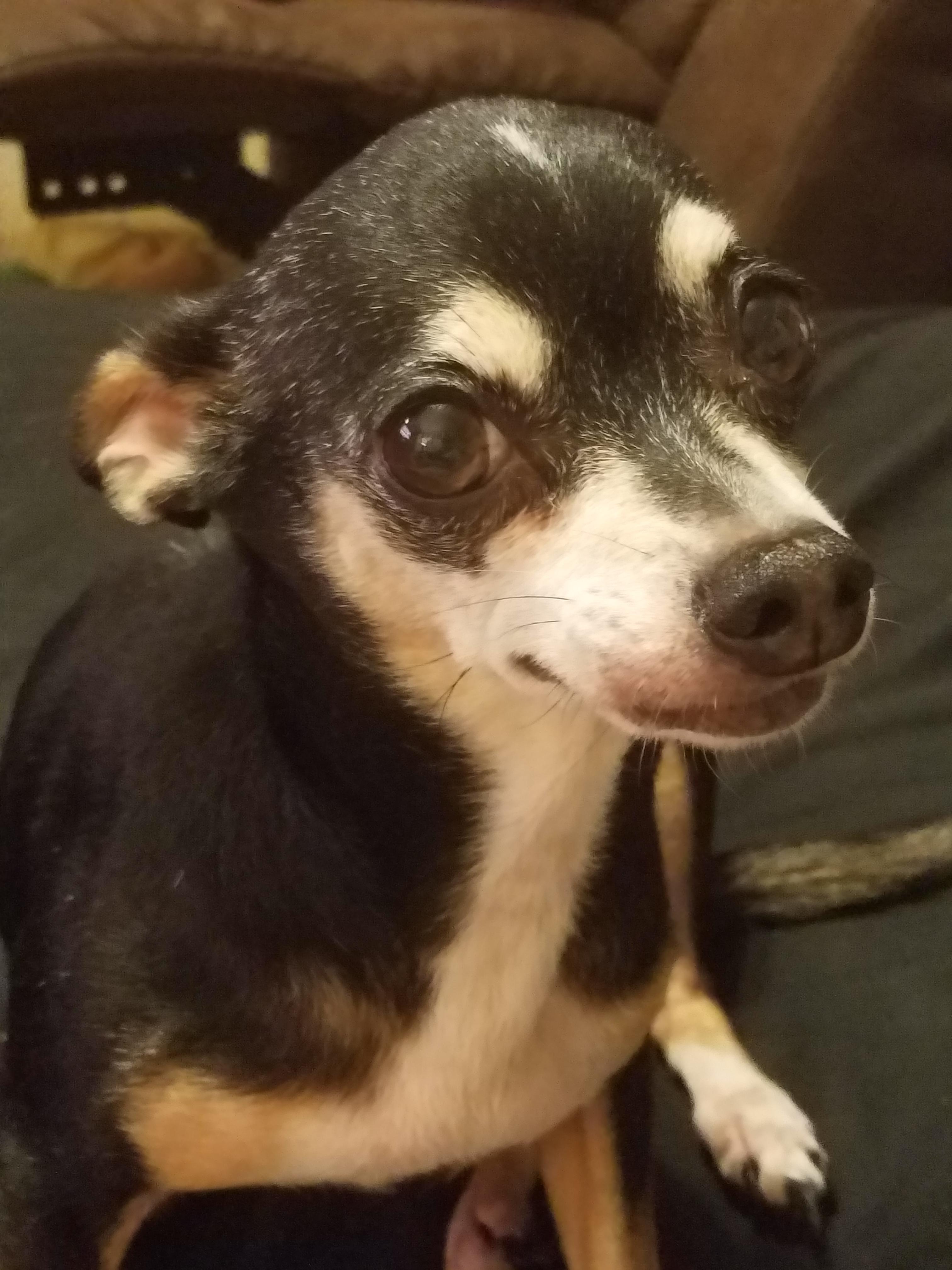 My 15 year old lady living her best life | Scrolller