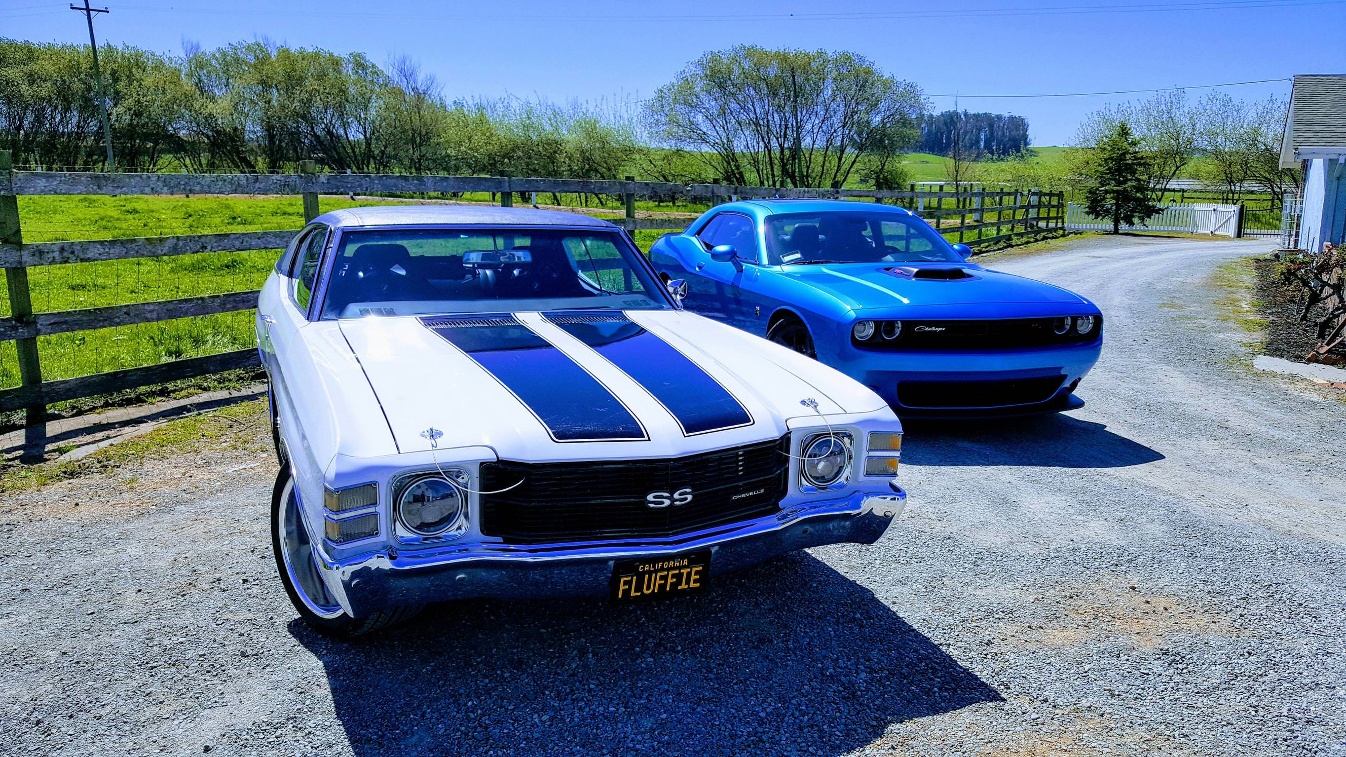 My 1971 Chevelle SS and my 2016 Challenger Scat Pack Shaker - nice mix of old and new muscle ...