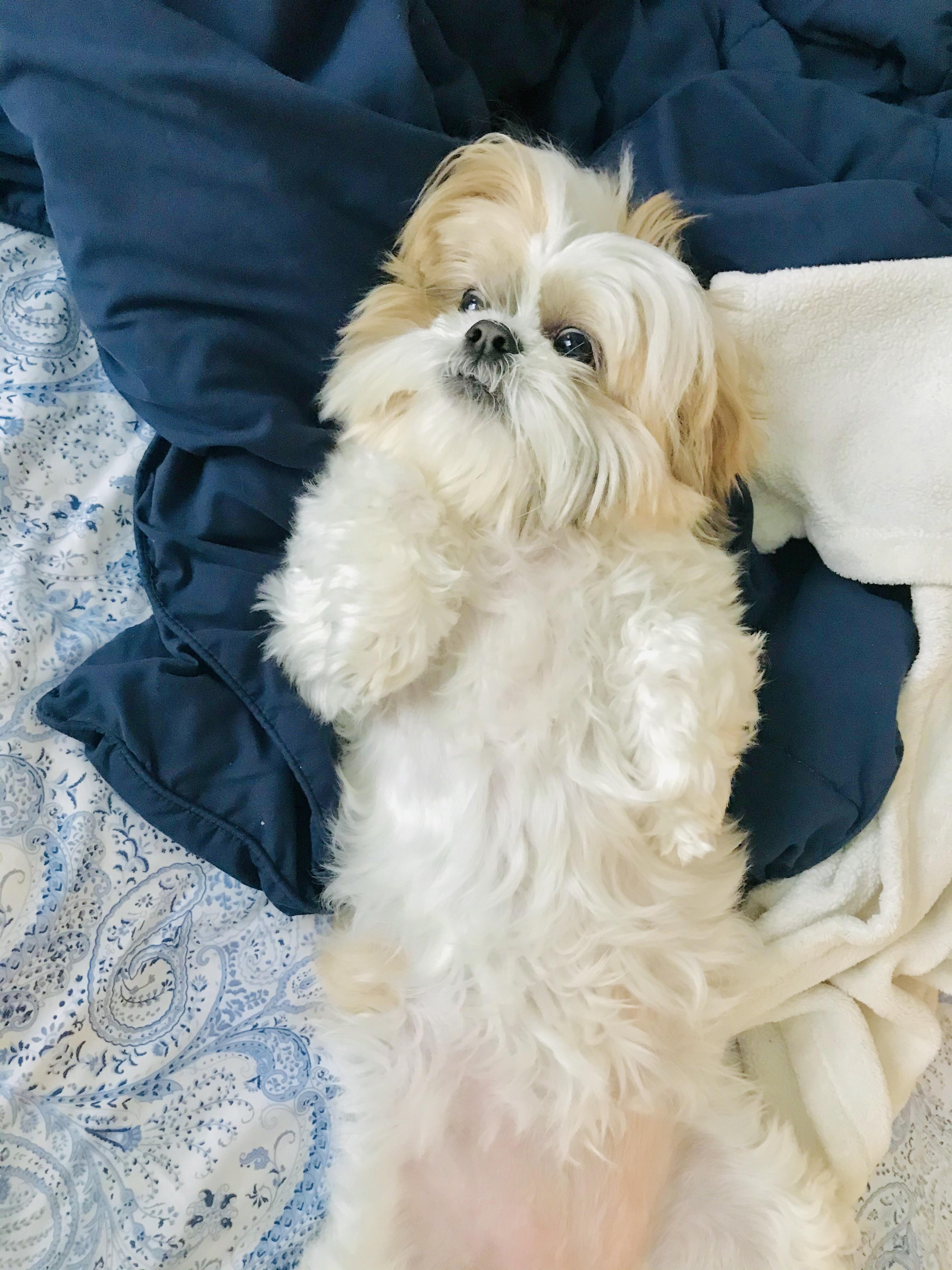 My 6 year old Shaky ️ | Scrolller