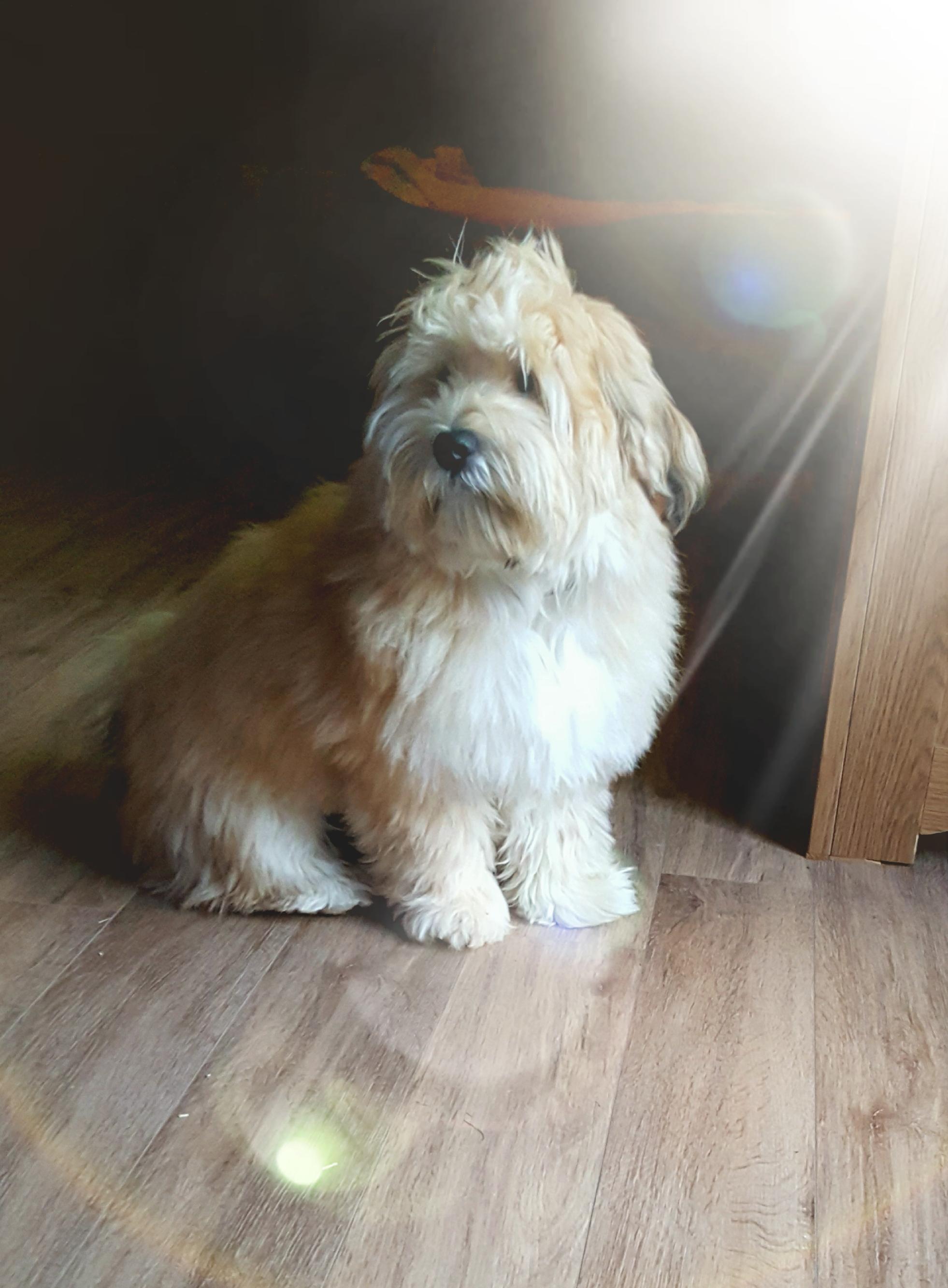 My Angel | Scrolller