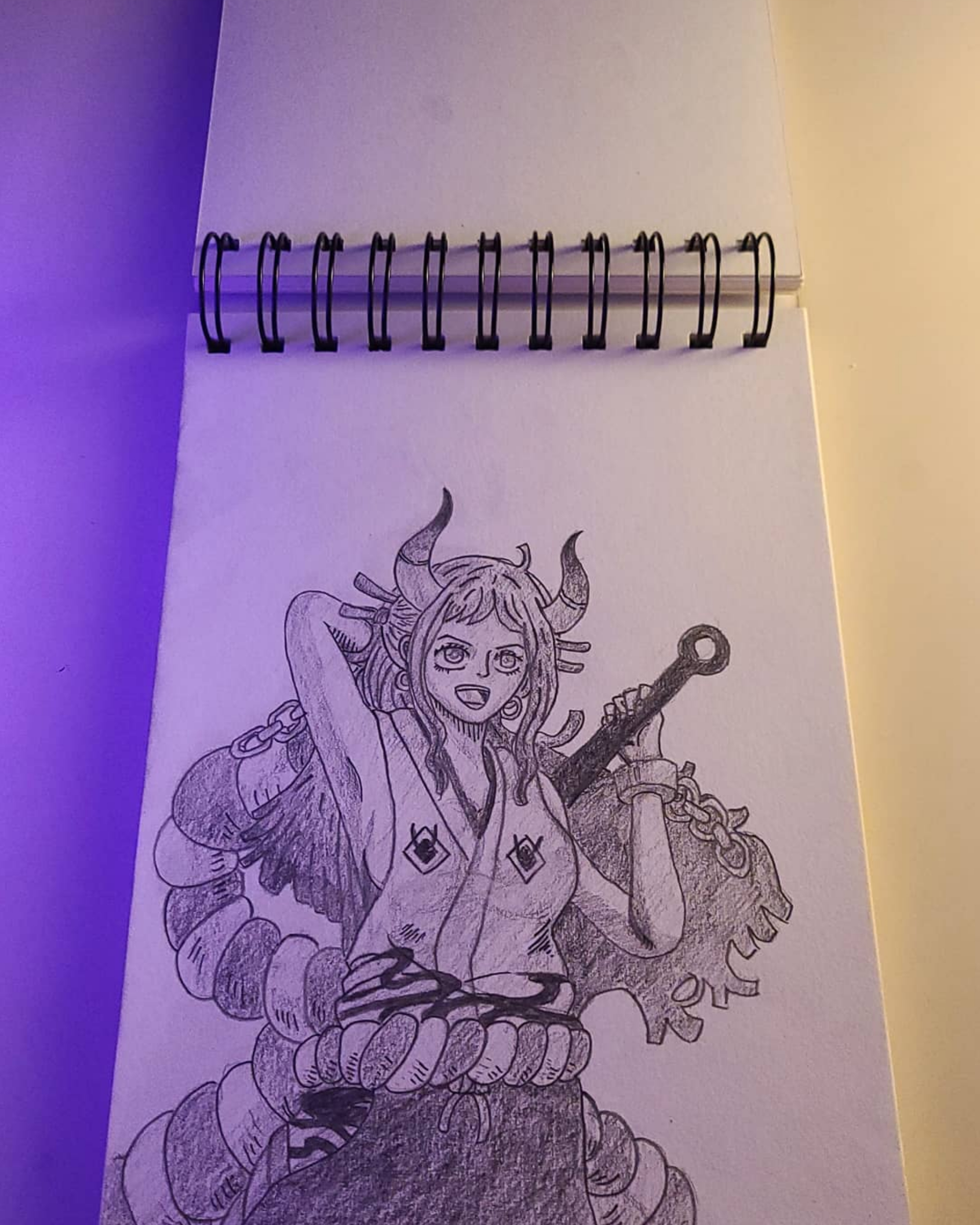 My attempt on drawing a potential future Straw Hat member | Scrolller