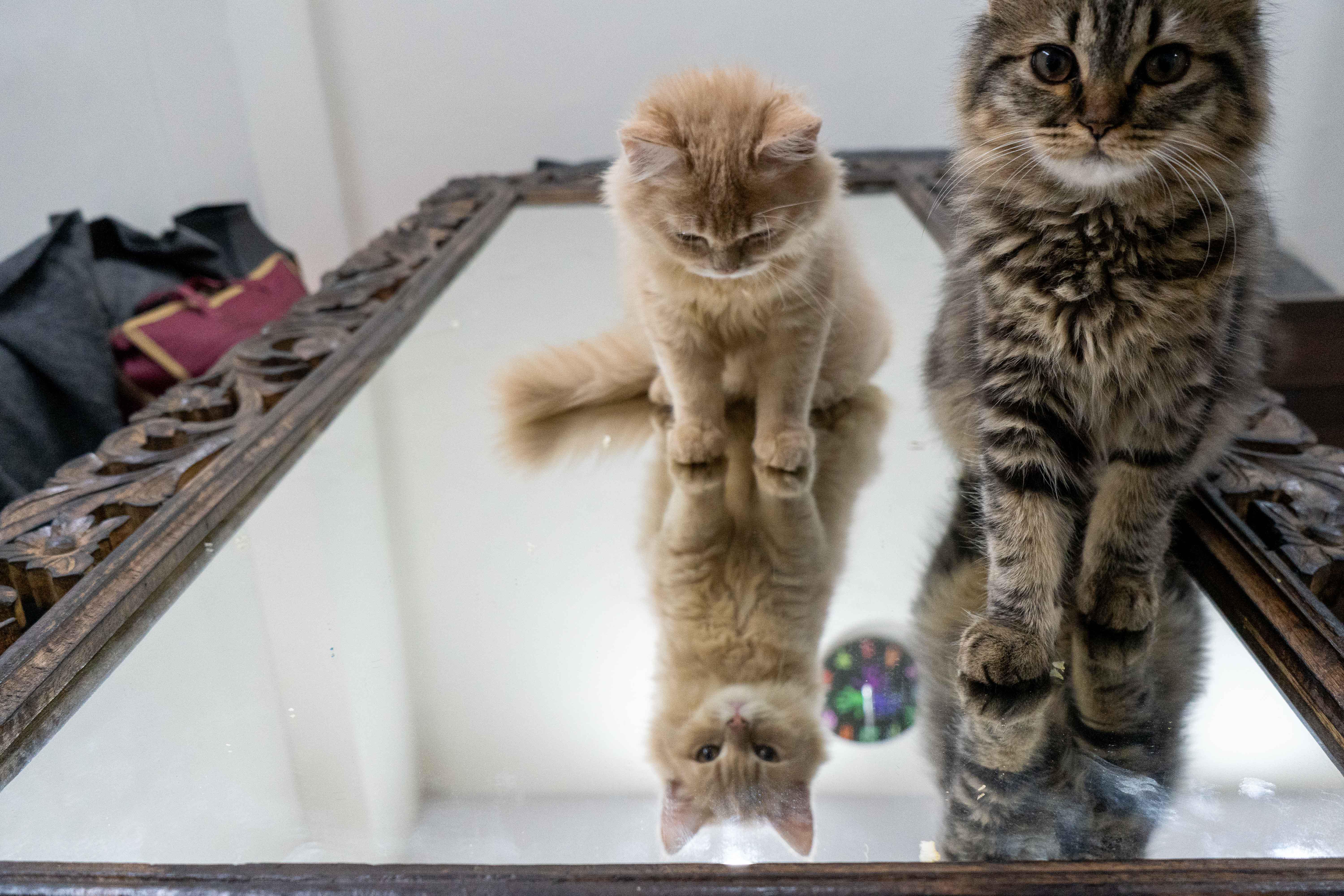 My babies ️ | Scrolller