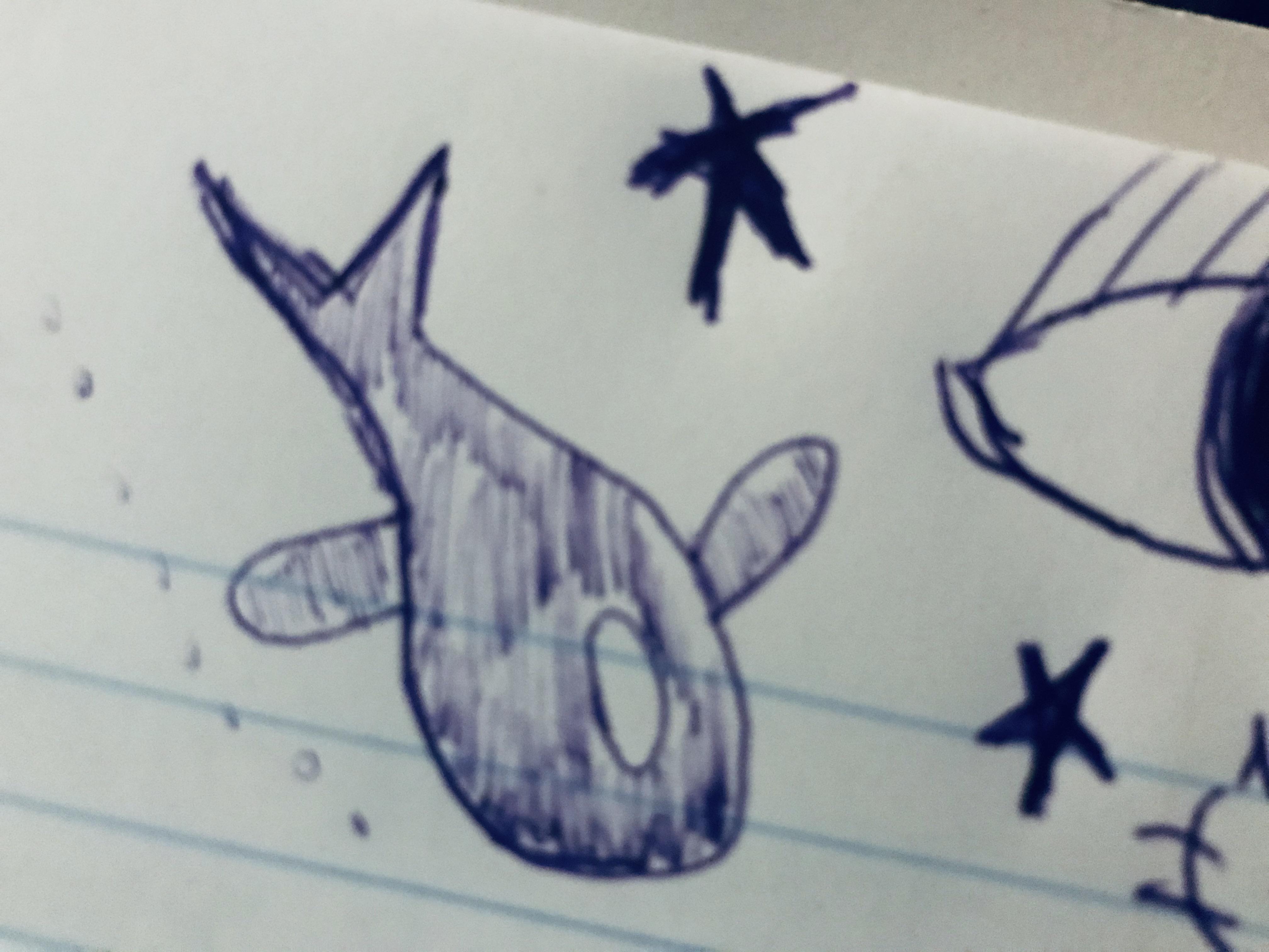 My baby orca doodle. | Scrolller