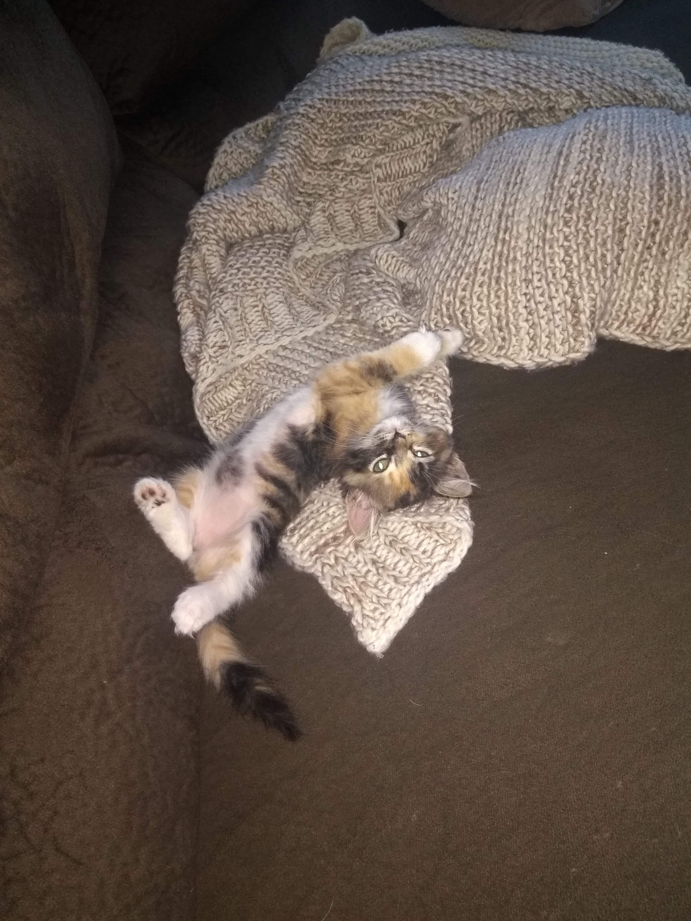 My baby when she was a small bean 🌈 | Scrolller