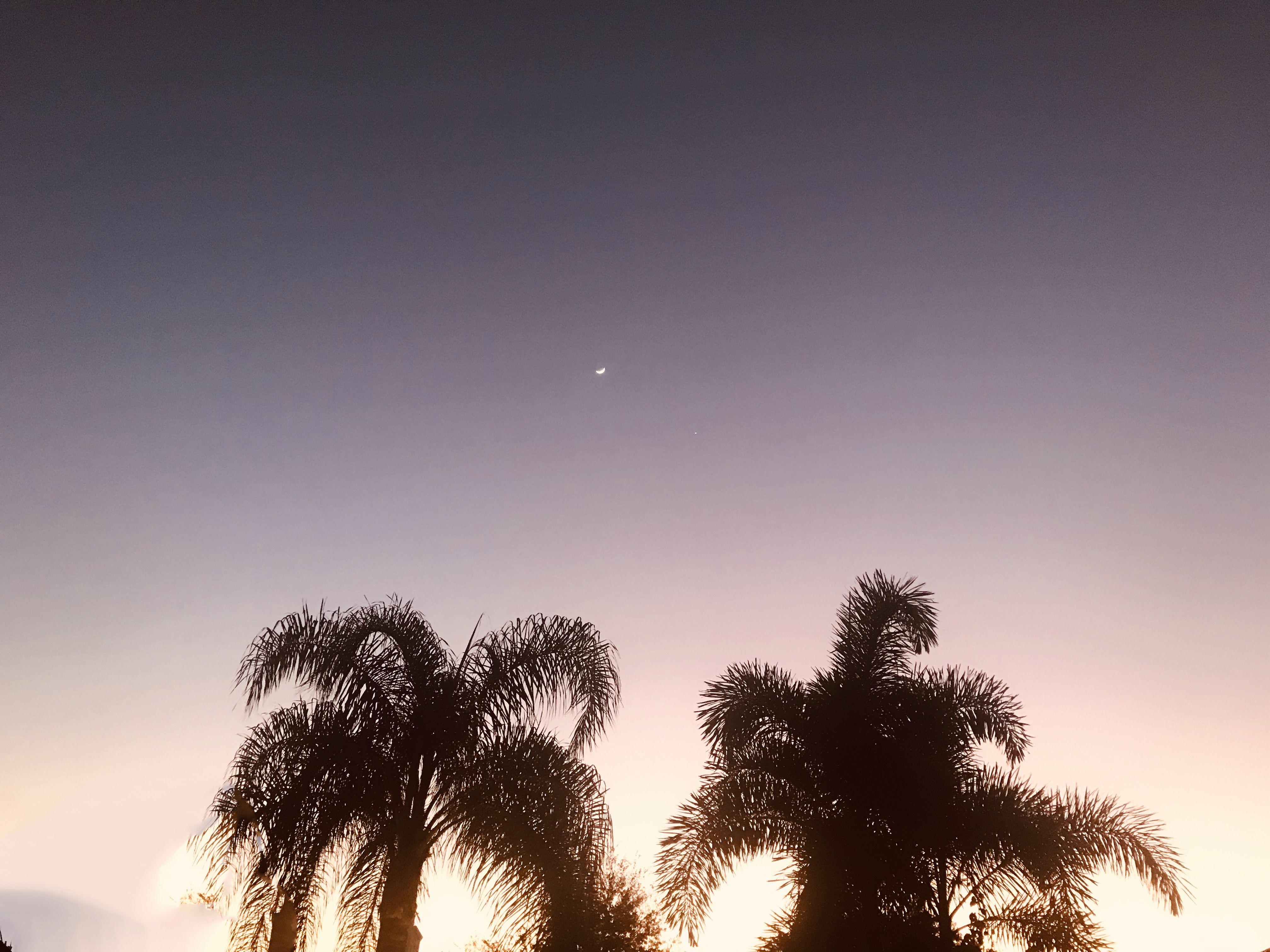 My backyard | Scrolller