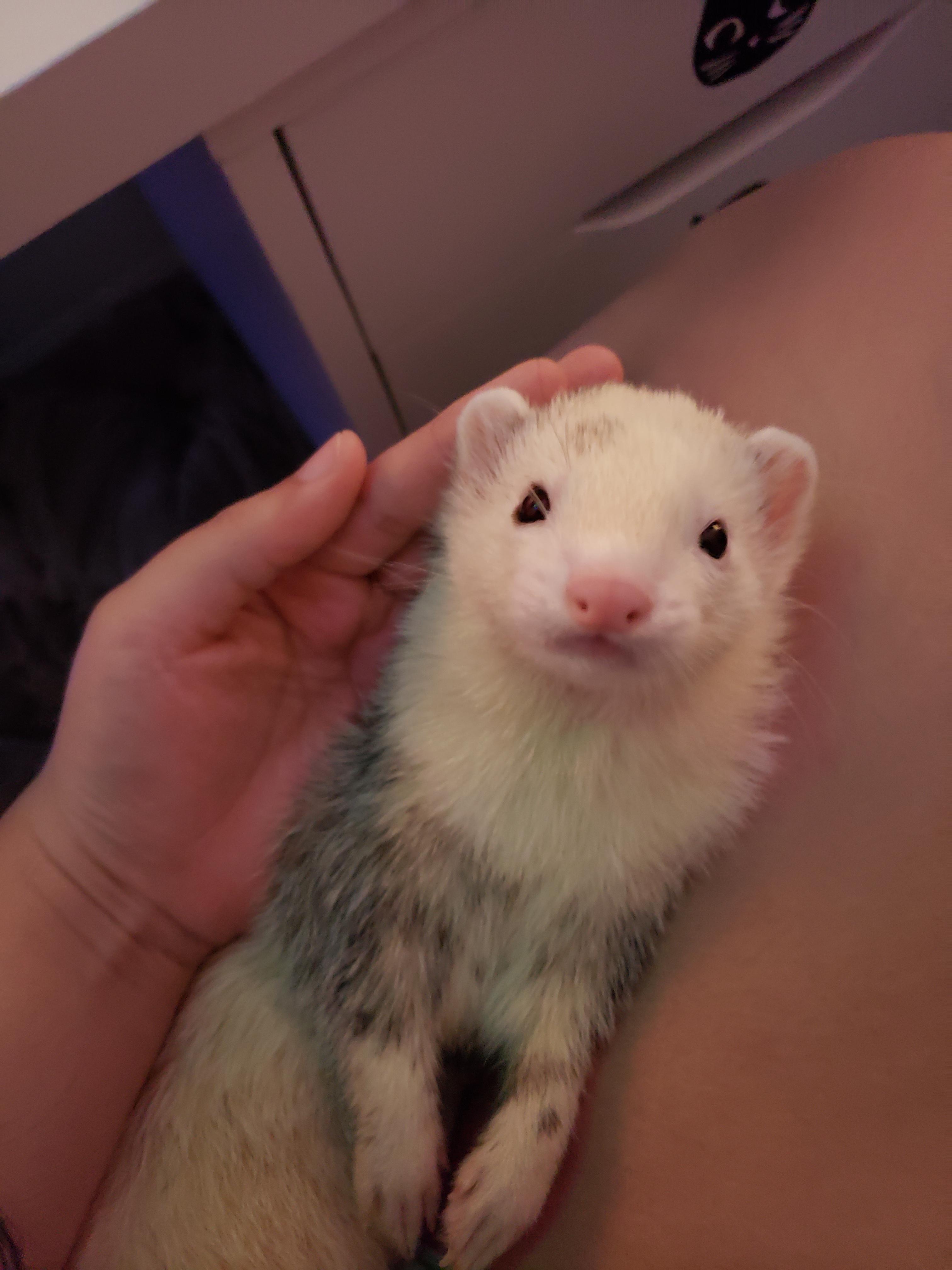 My Beautiful boy | Scrolller