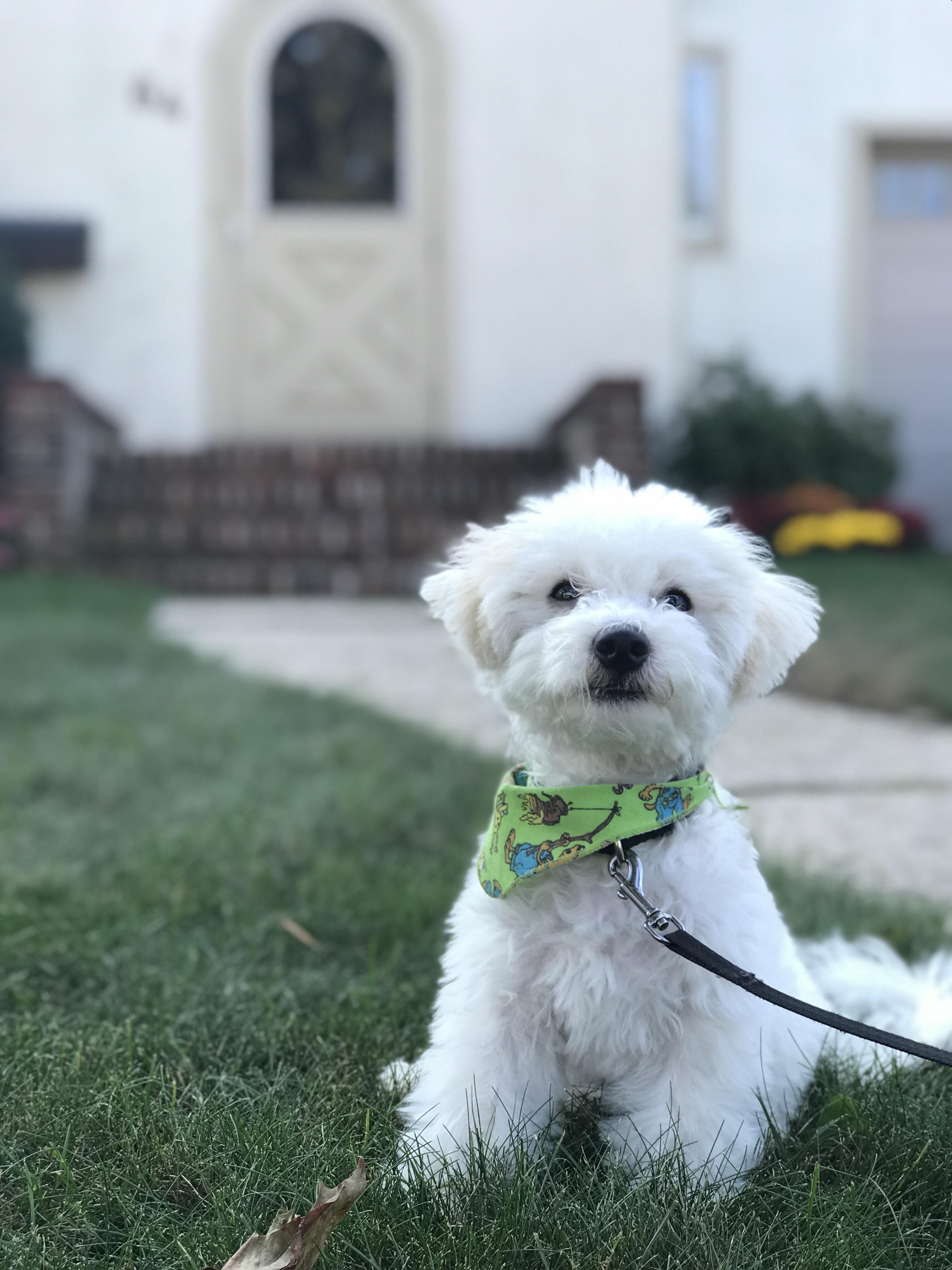 My beautiful derpy baby 😍 | Scrolller