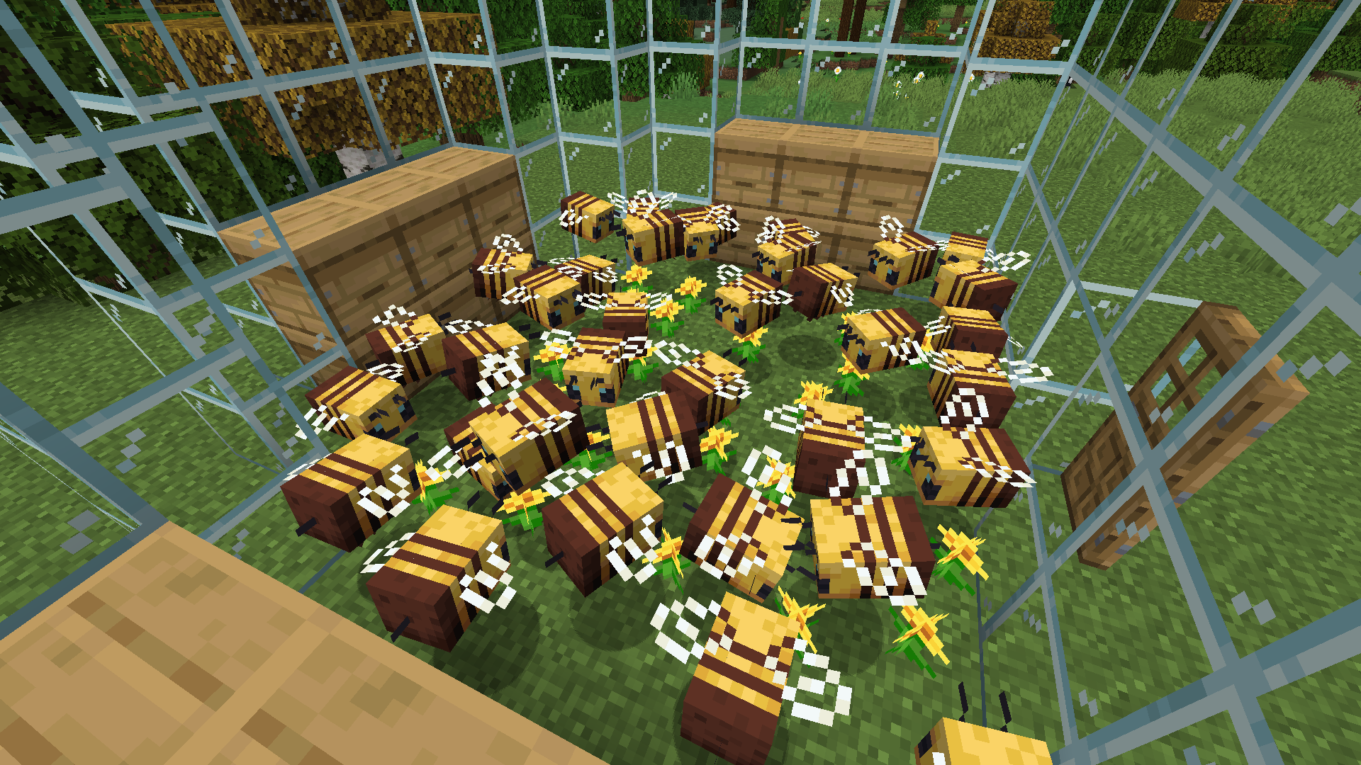 My bees at work | Scrolller