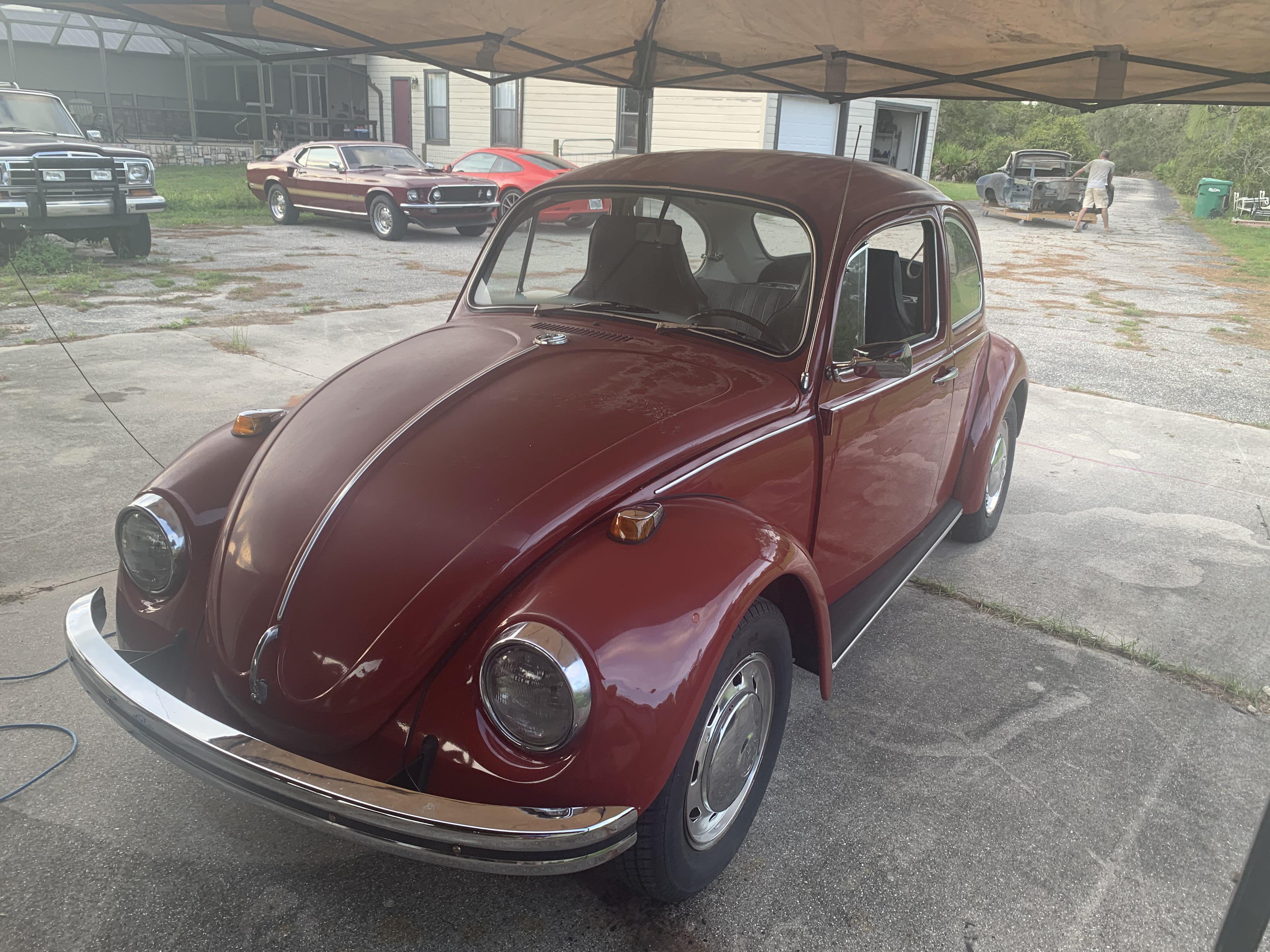 My Beetle ! | Scrolller