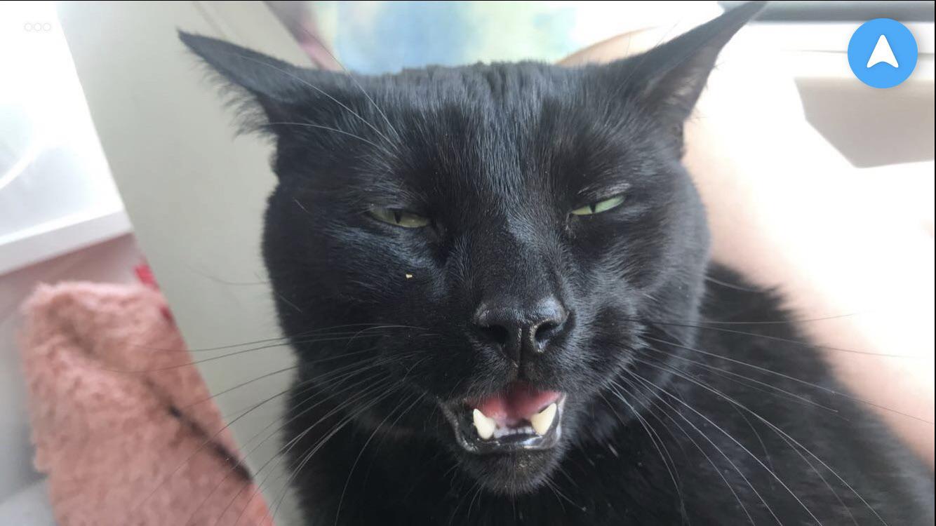 My beloved Jean Luc looking oh so handsome | Scrolller