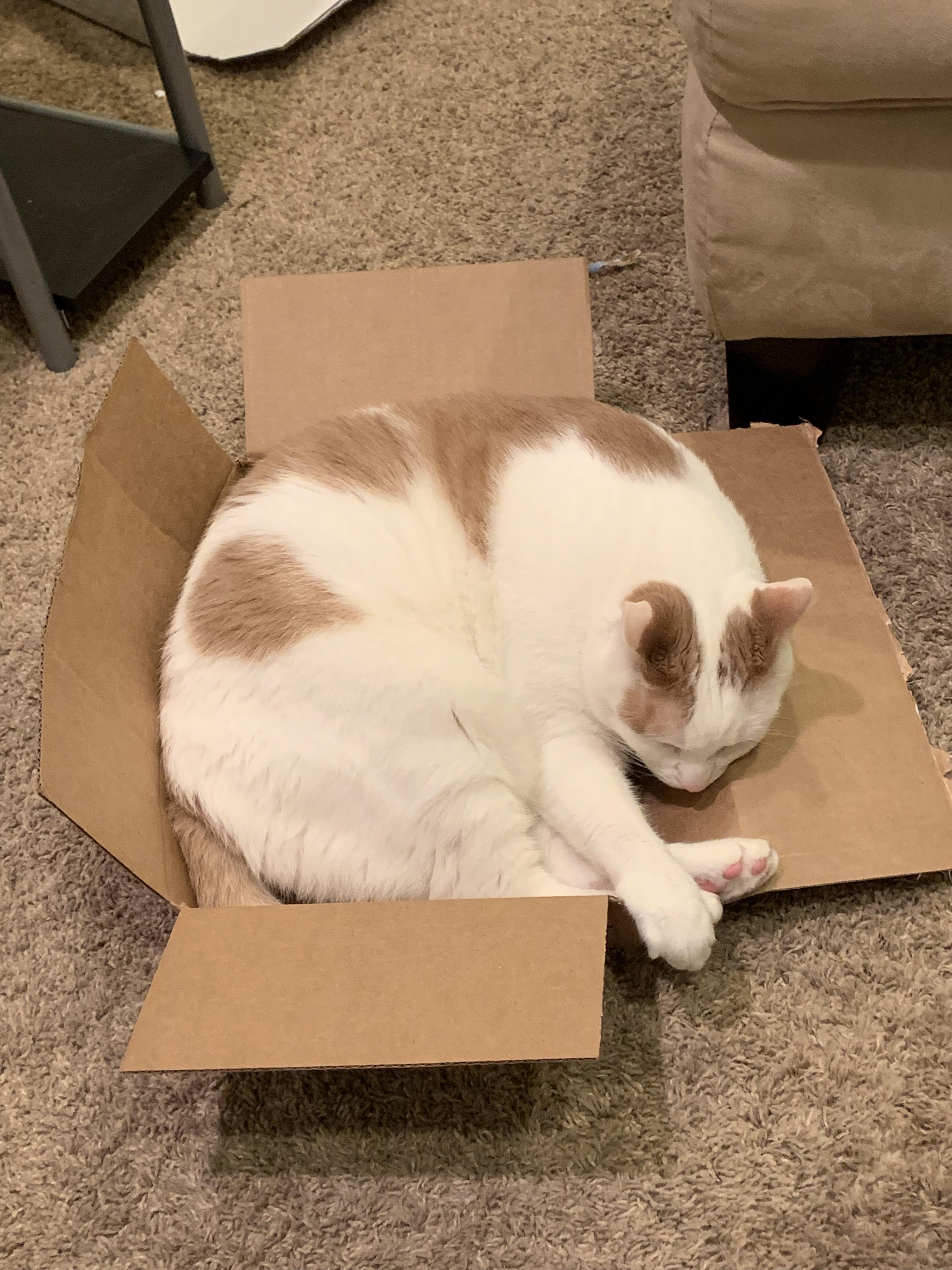 My big boy just broke the side of his trap :( | Scrolller