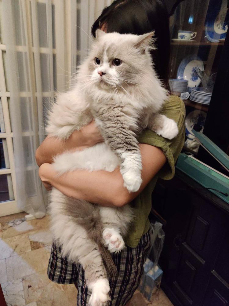 My big boye Simang!! Happy 2nd Birthday! | Scrolller