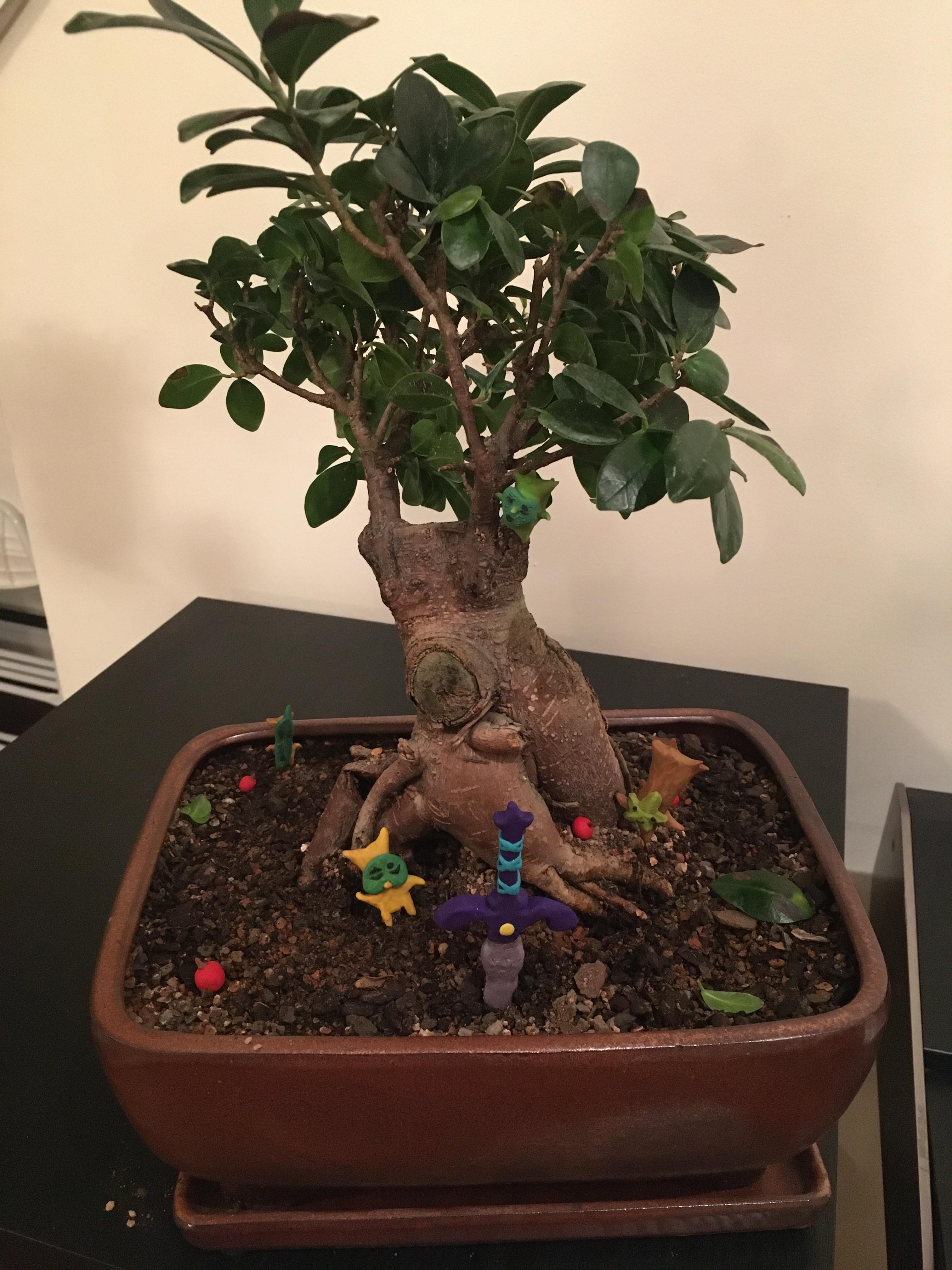 My bonsai tree looked like a little Deku so I adorned it with some friends | Scrolller