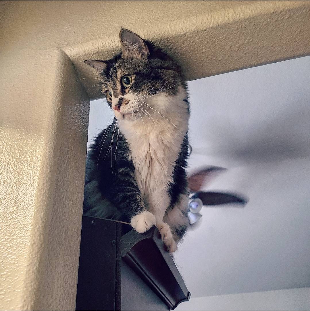 My boy George Glass. | Scrolller