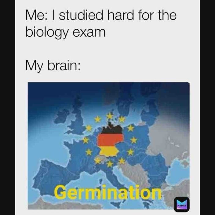 My brain | Scrolller