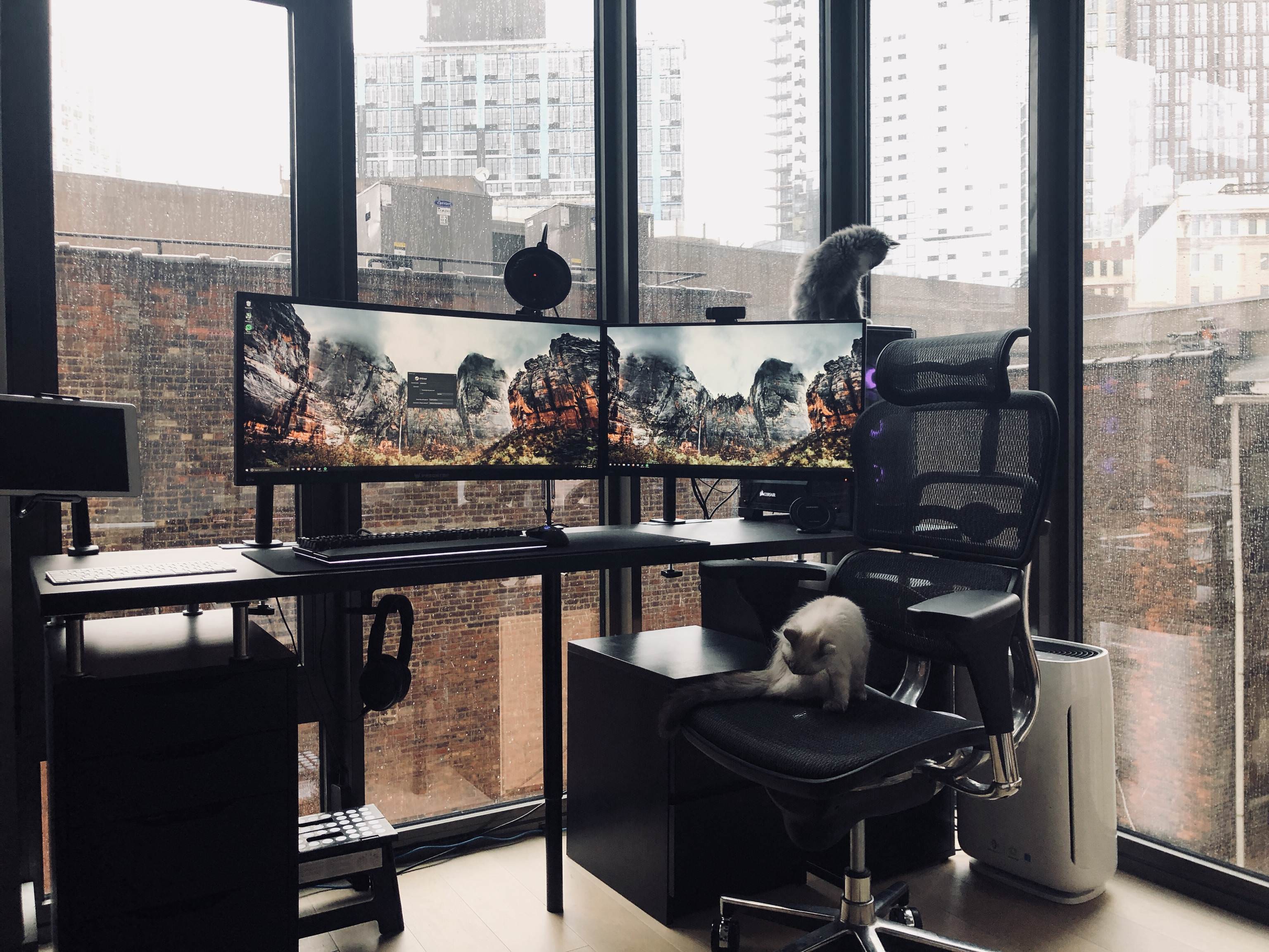 My Brooklyn Battlestation/Cat tree | Scrolller