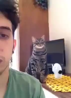 My brovaries just exploded | Scrolller