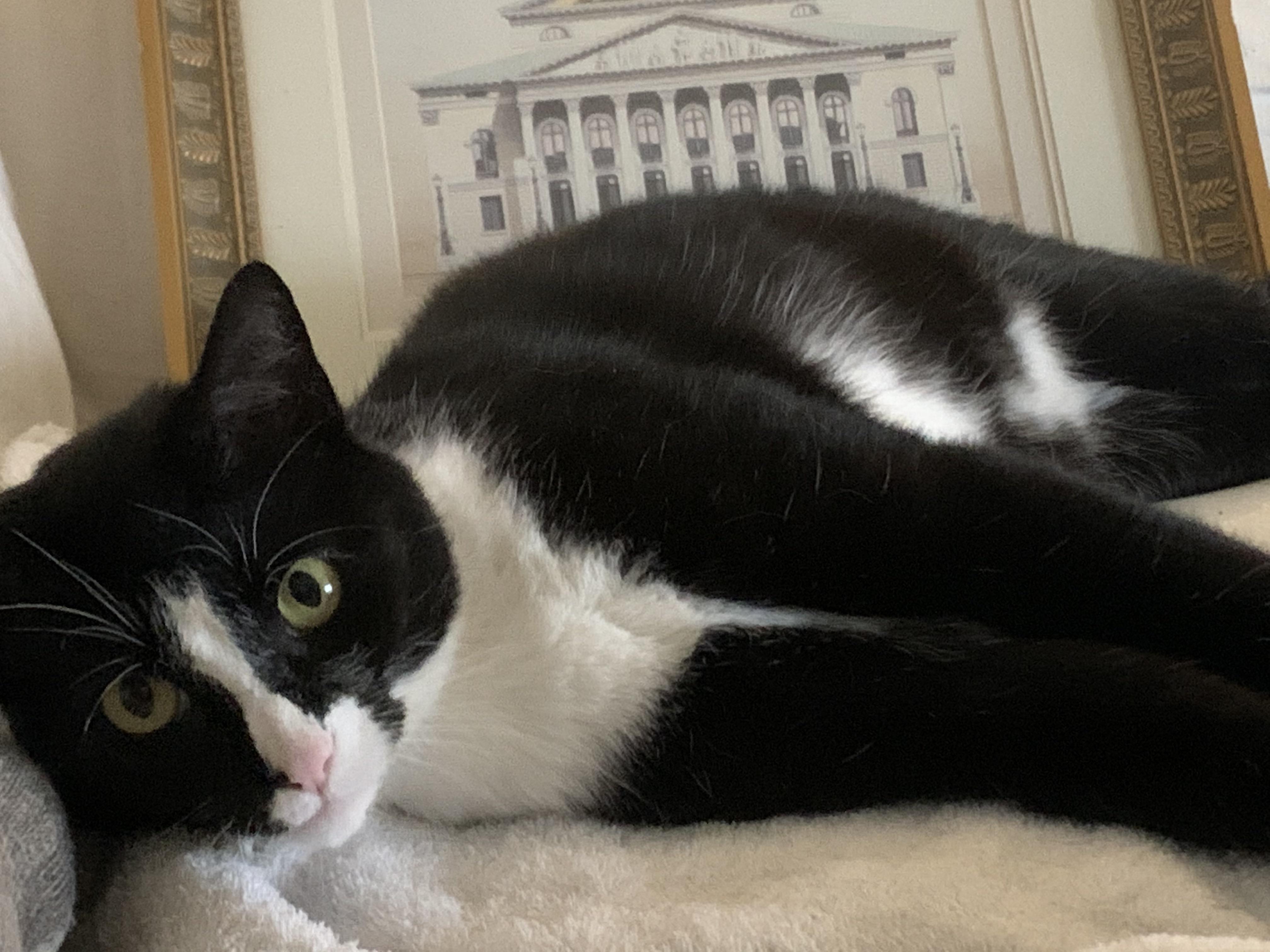 My buddy Berlin. | Scrolller