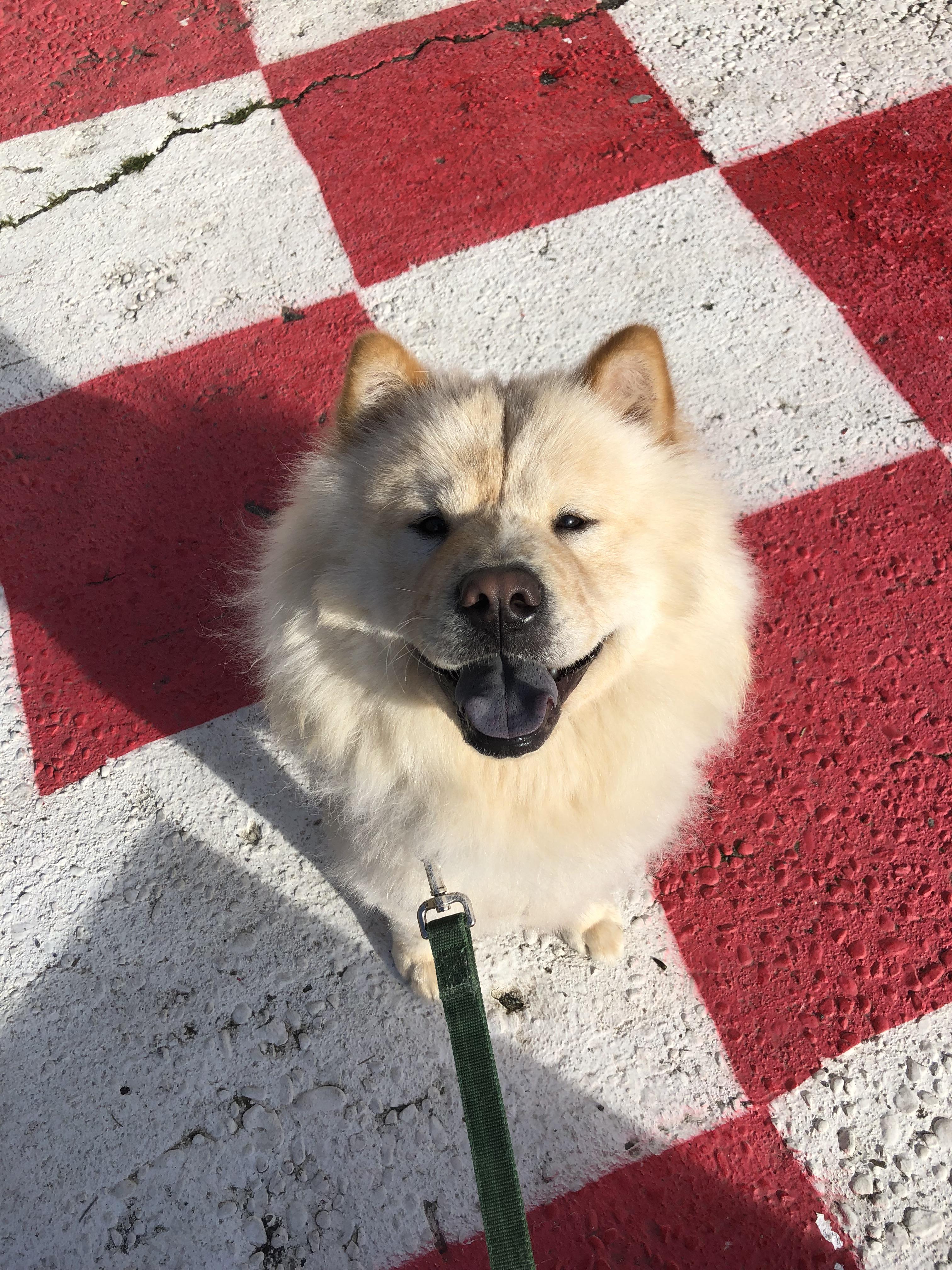 my chow from a boat! ️ | Scrolller