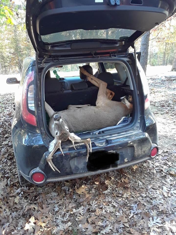My co-worker hauling his first of the season in his Kia Soul. | Scrolller
