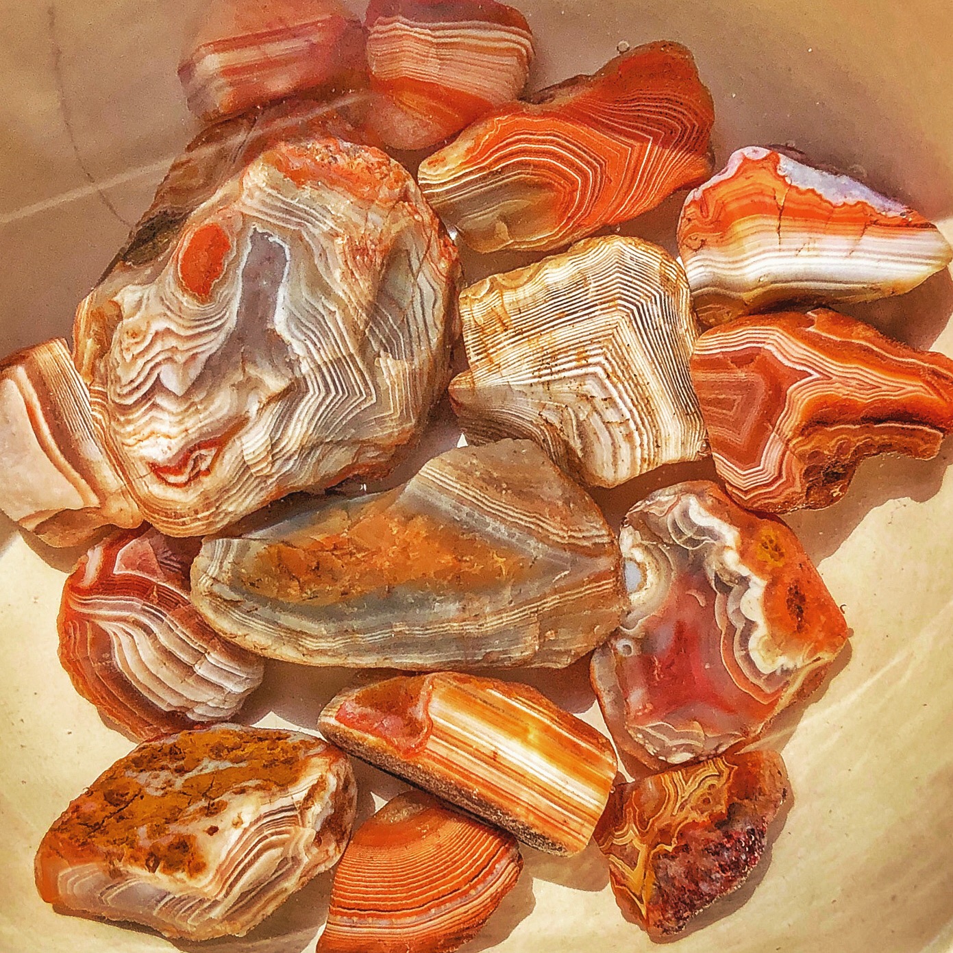 My Collection Of Lake Superior Agates I E Our States Official Gem Scrolller