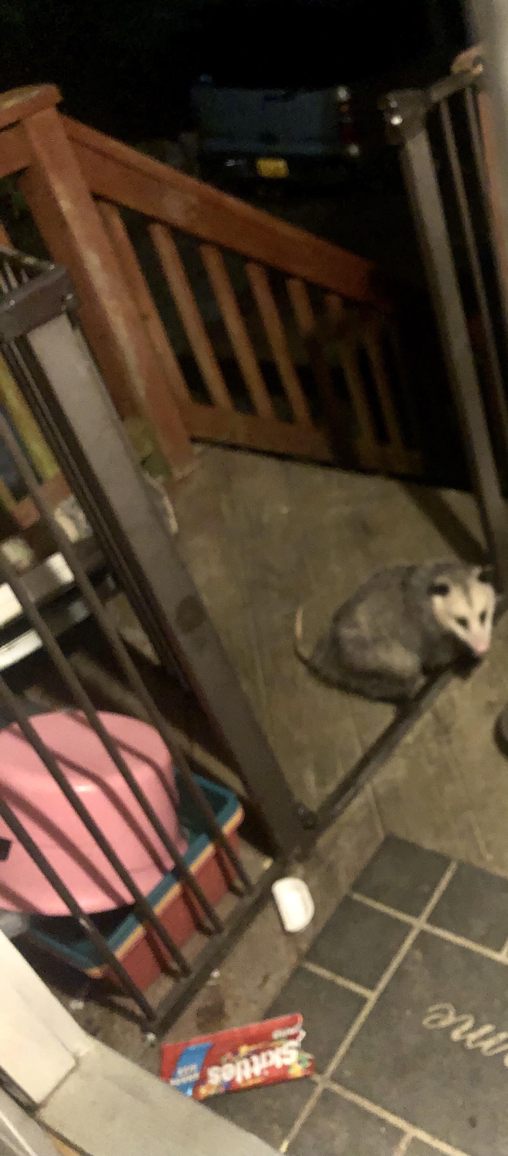 My contribution | Scrolller