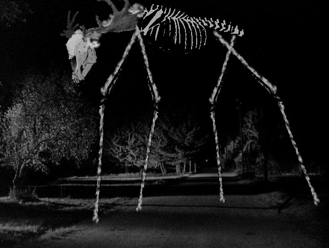 My creature "the hell king" | Scrolller