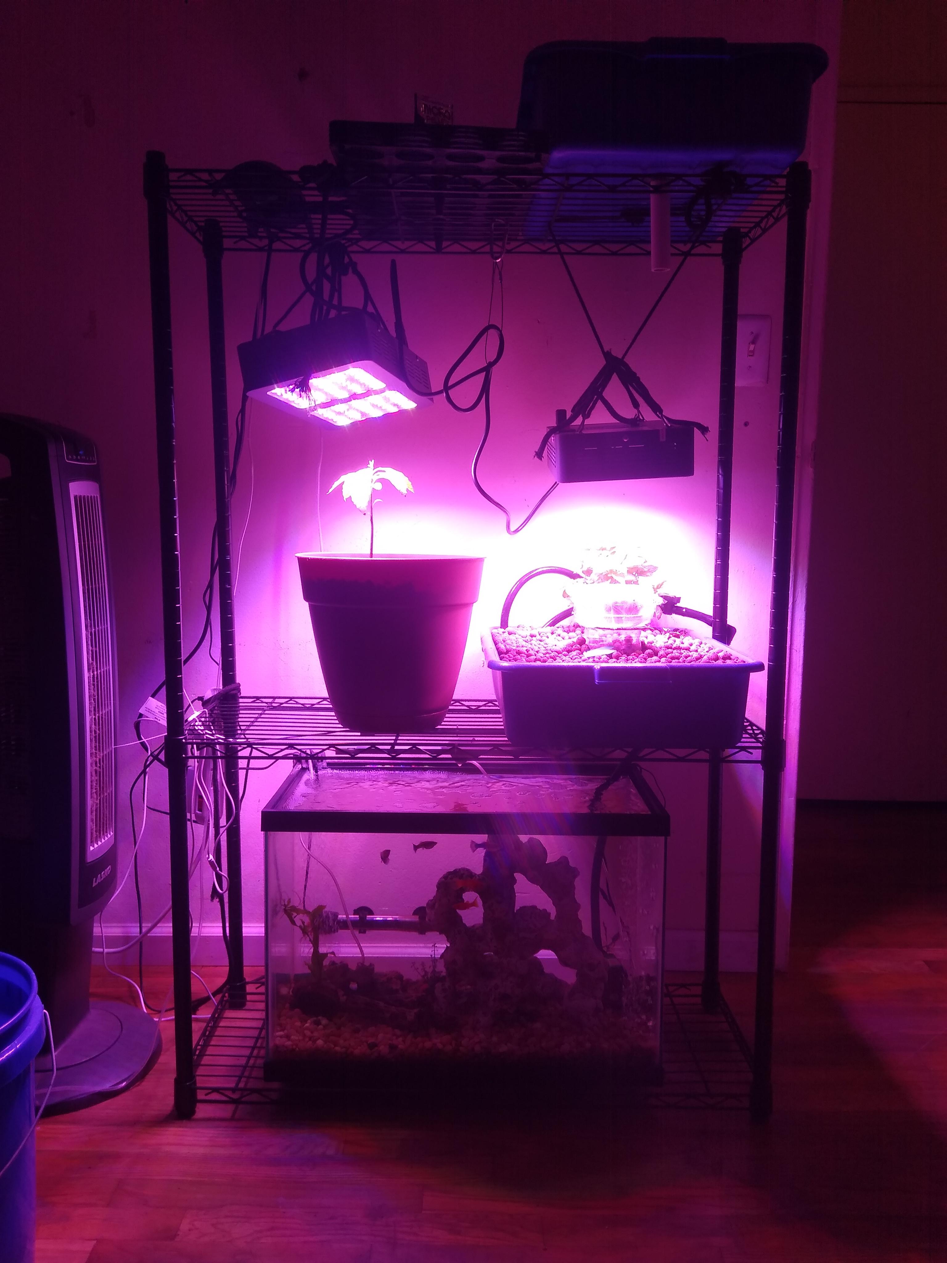 My current setup. | Scrolller