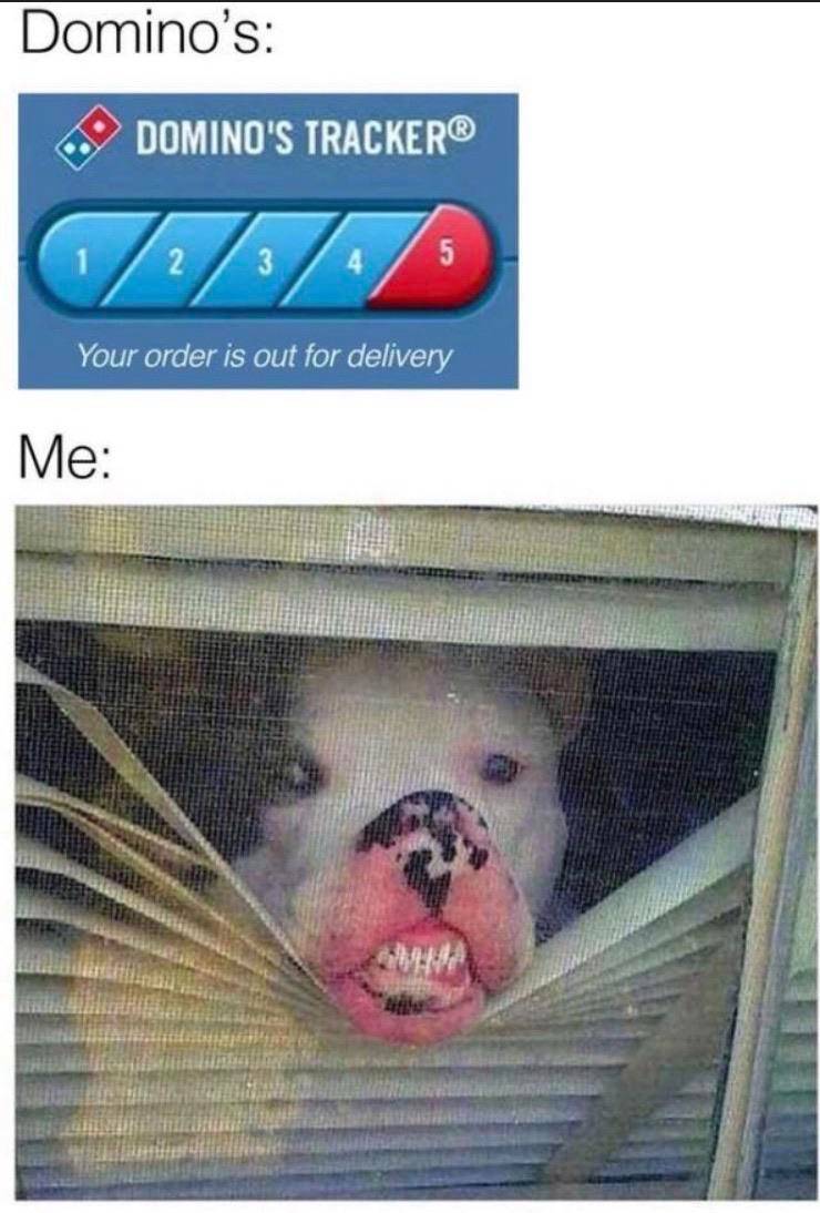 My current status. | Scrolller