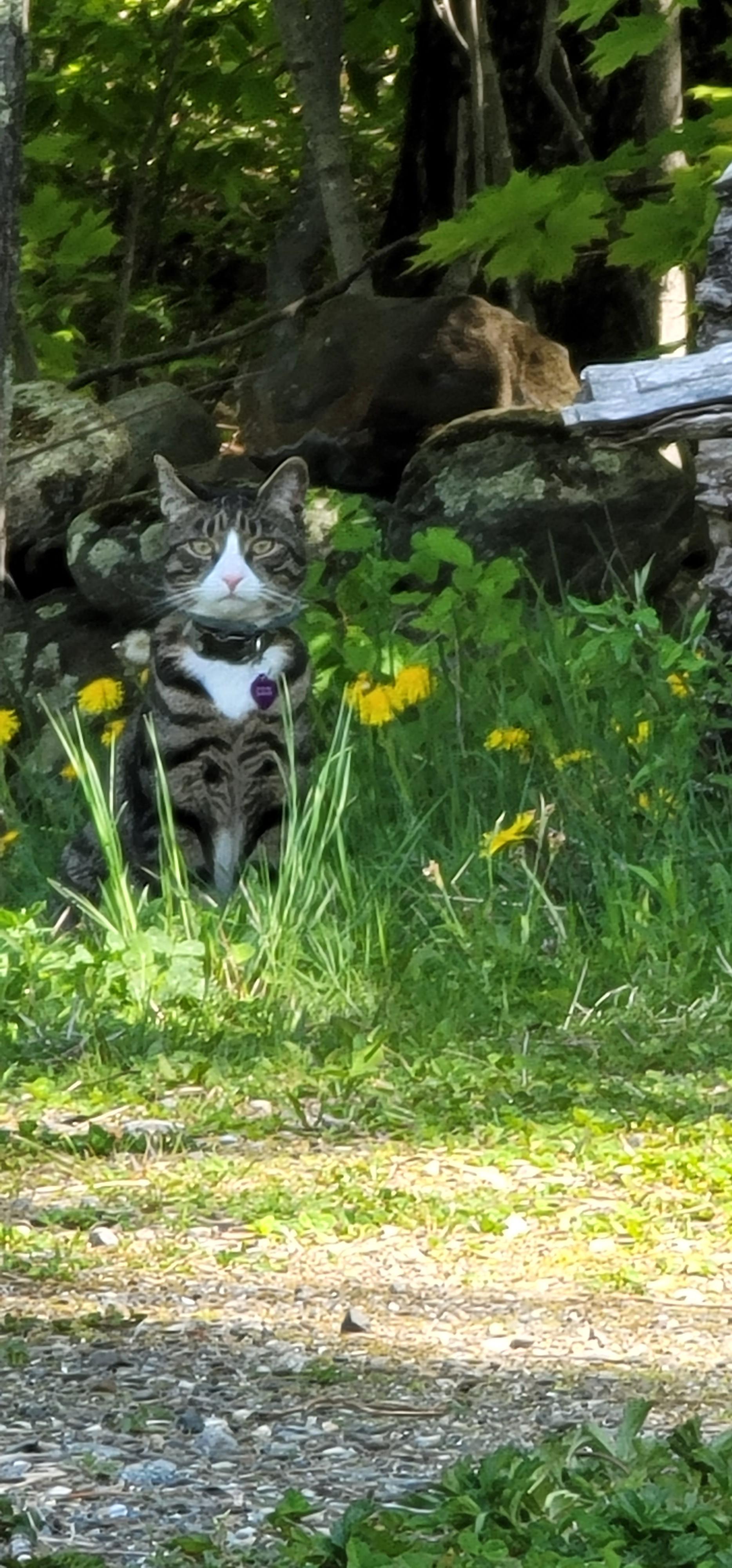 My current wallpaper :) | Scrolller