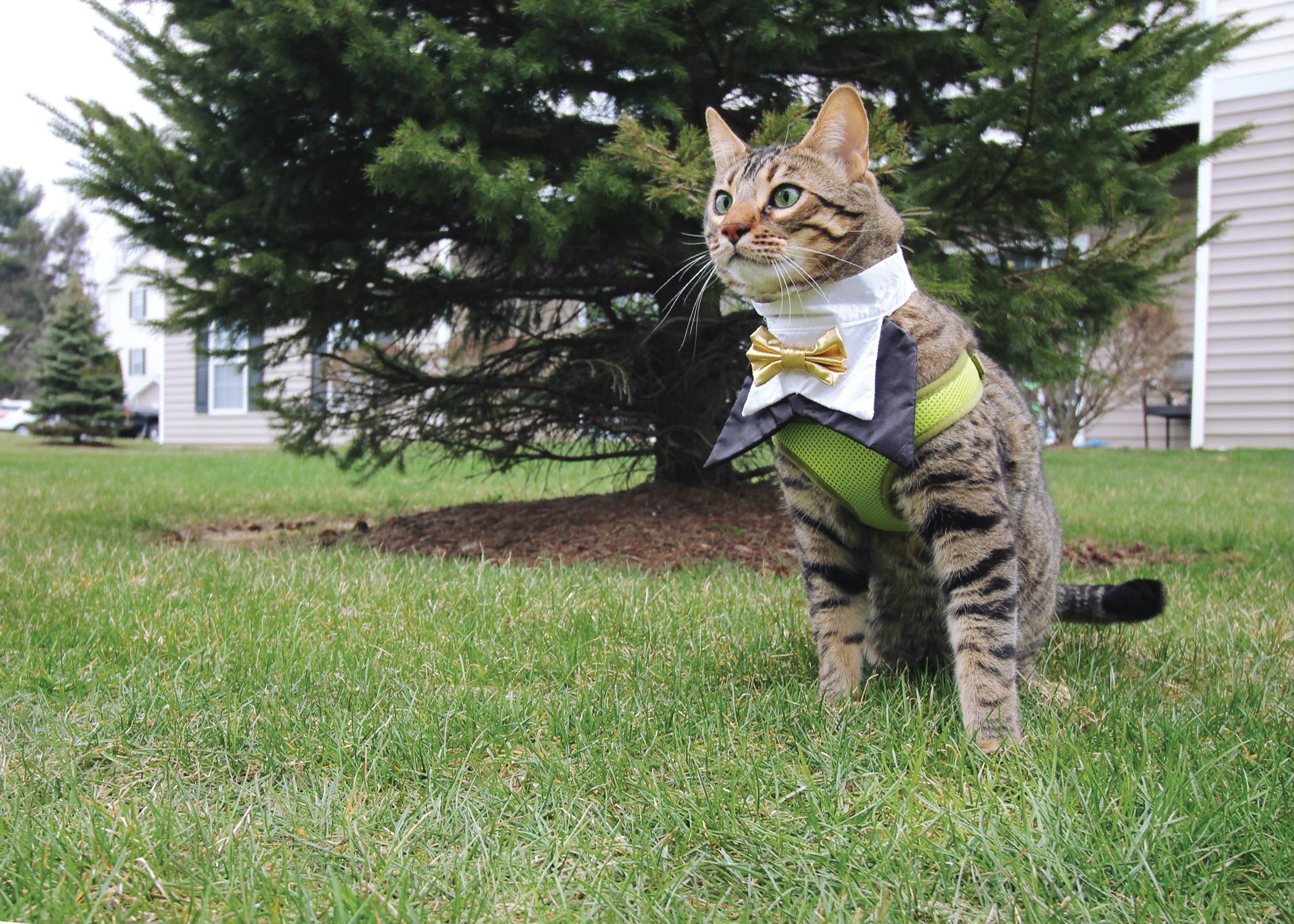 My dapper young man in his tie | Scrolller