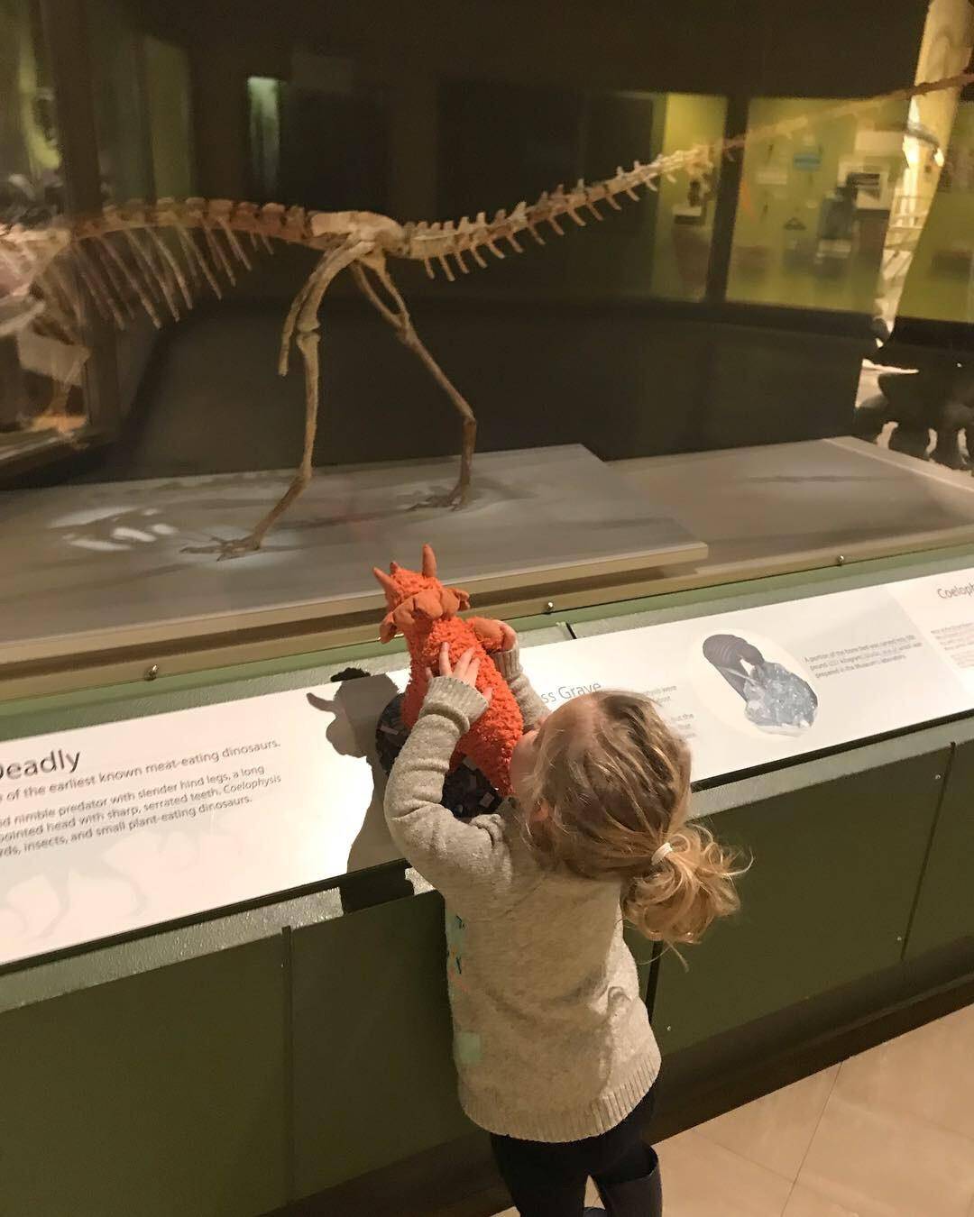 My daughter’s beloved stuffed triceratops | Scrolller