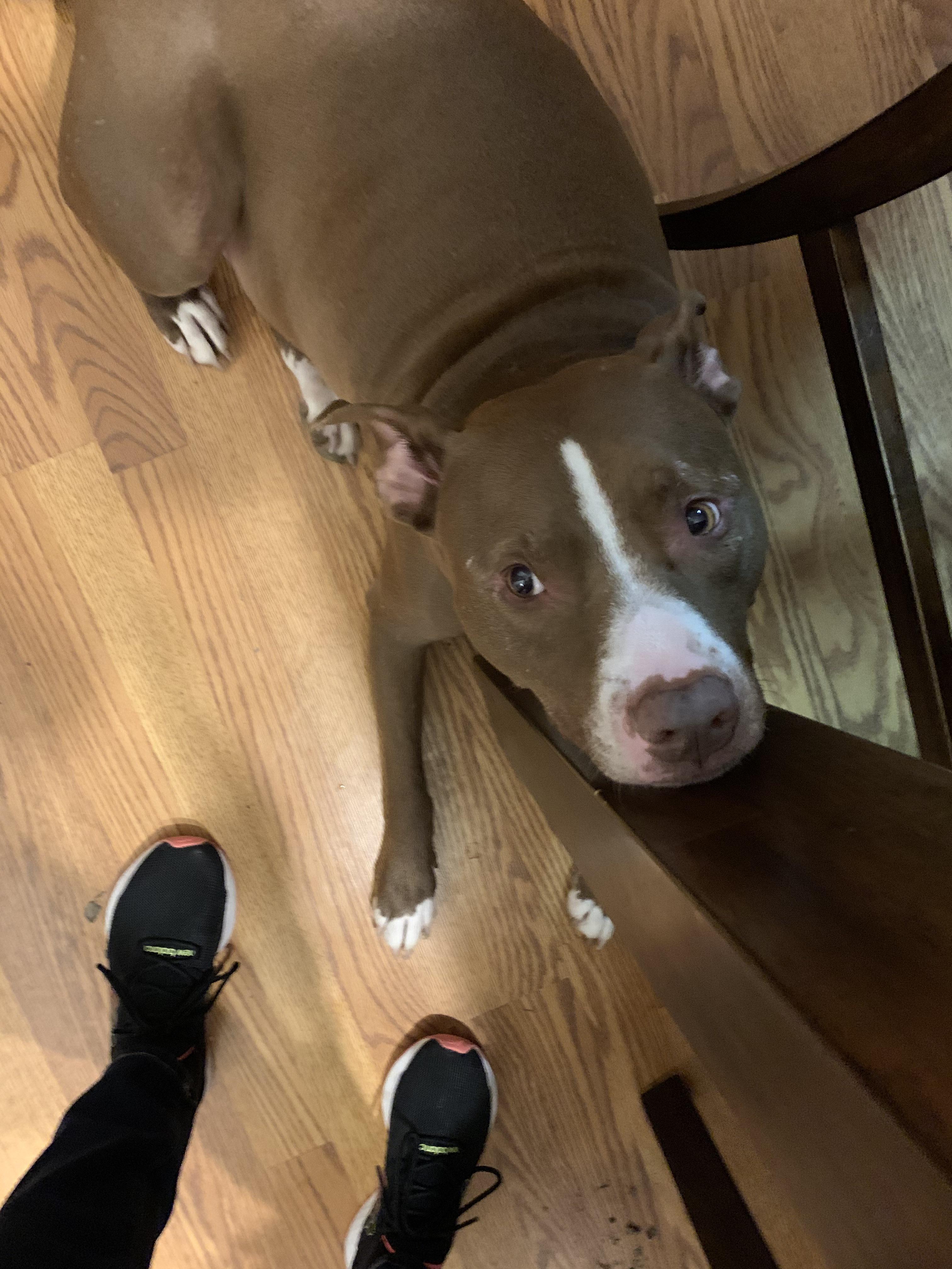 My derp at dinner | Scrolller