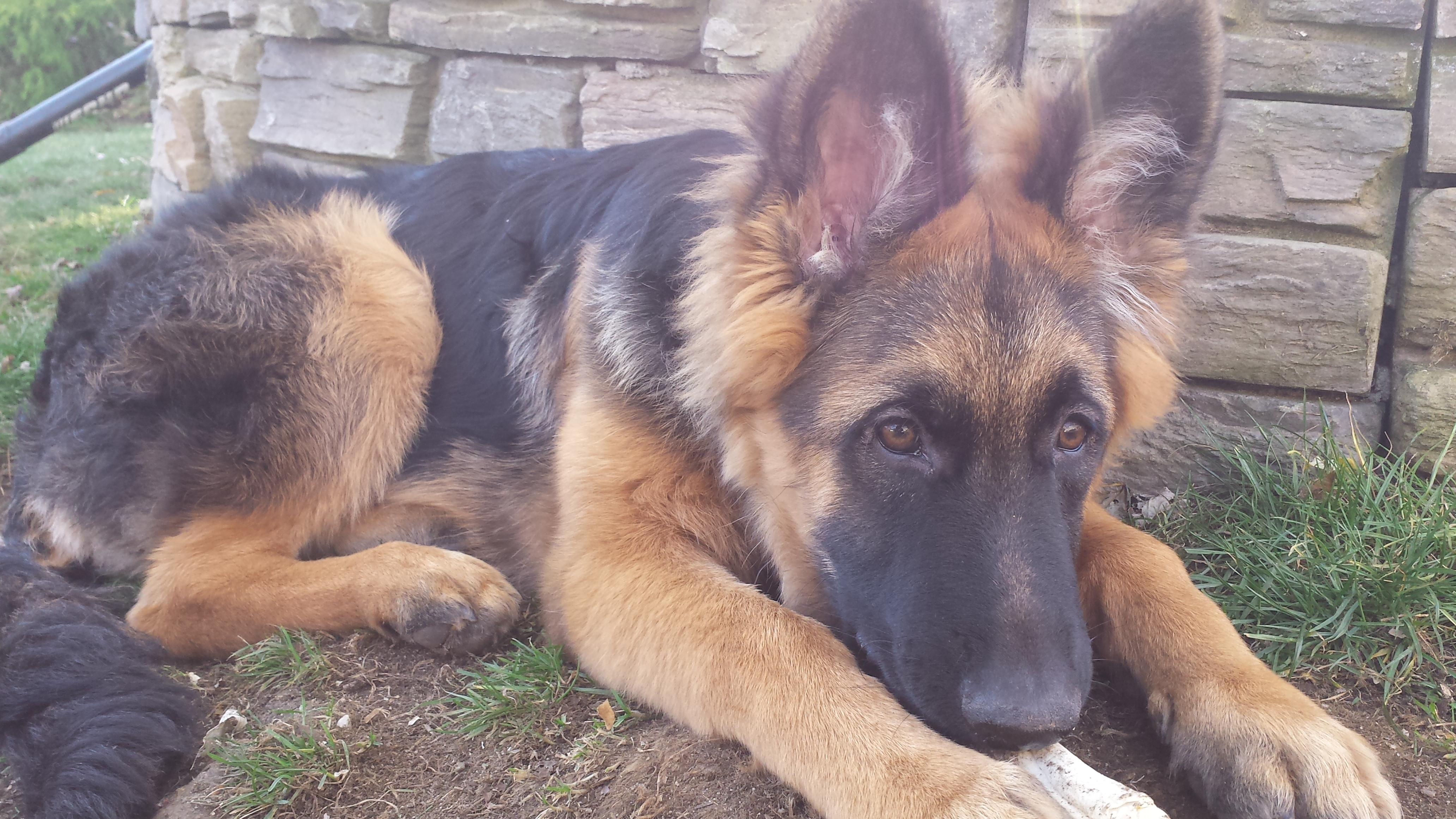 My dude gunnar | Scrolller