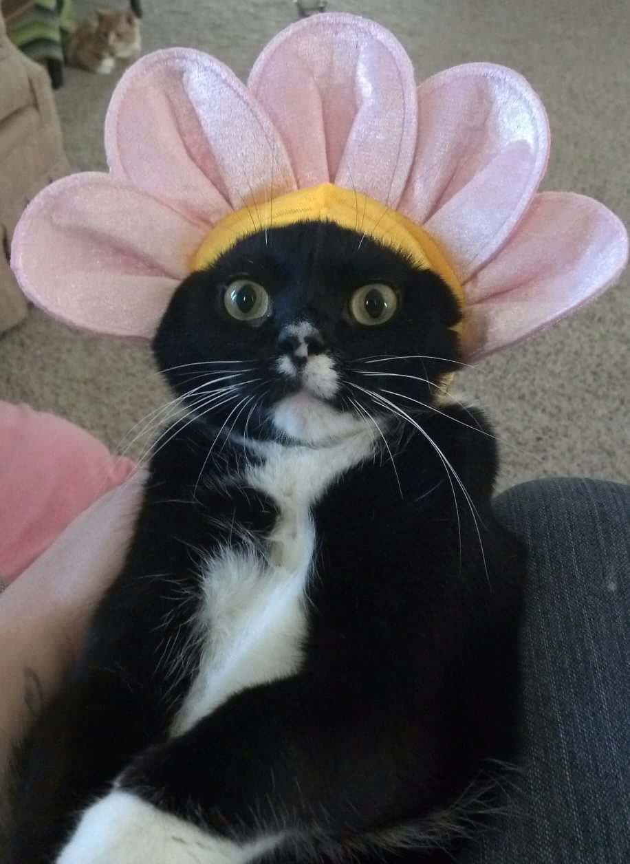 My Favorite Picture of James Bond | Scrolller