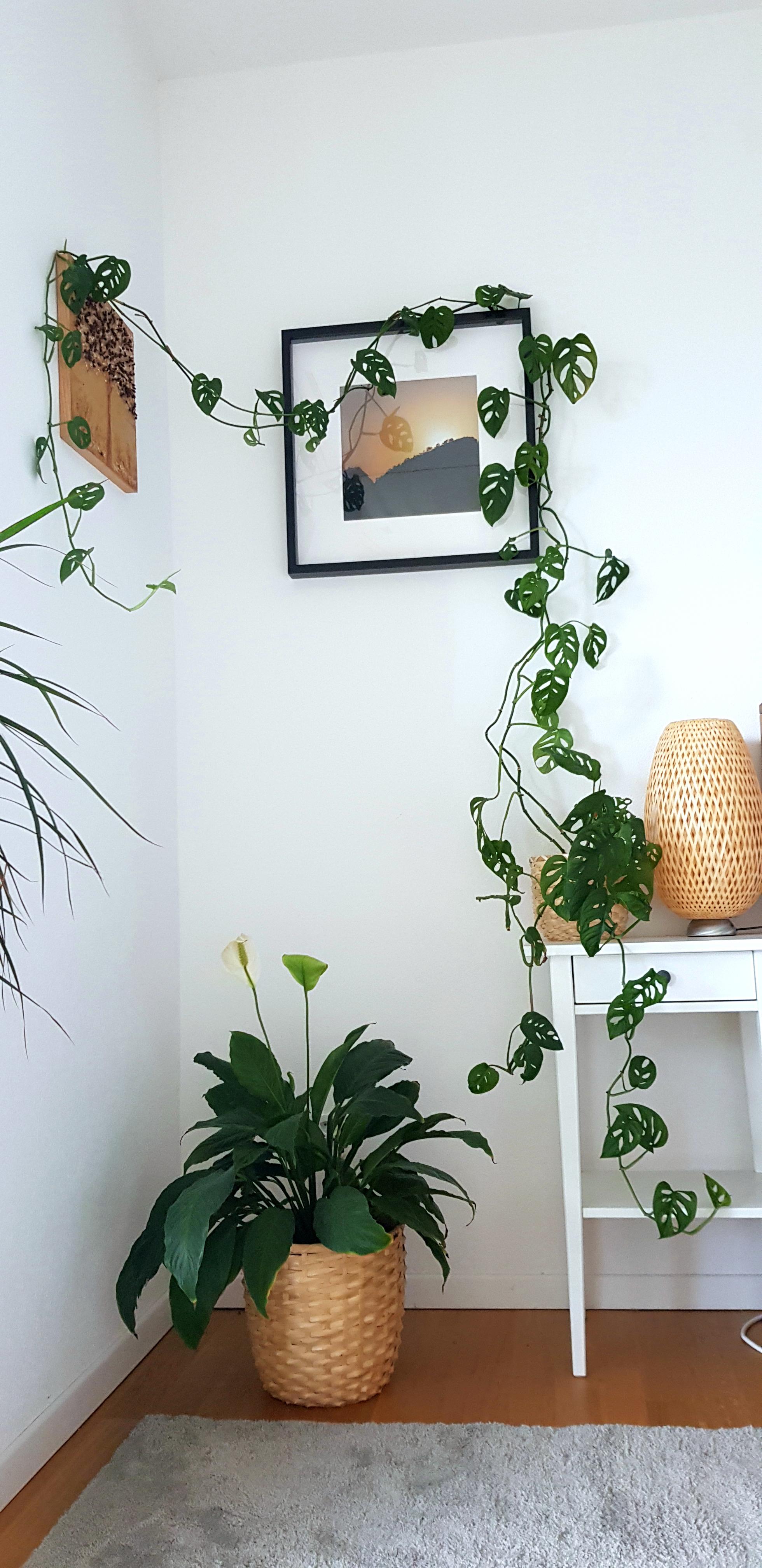 My favourite corner | Scrolller