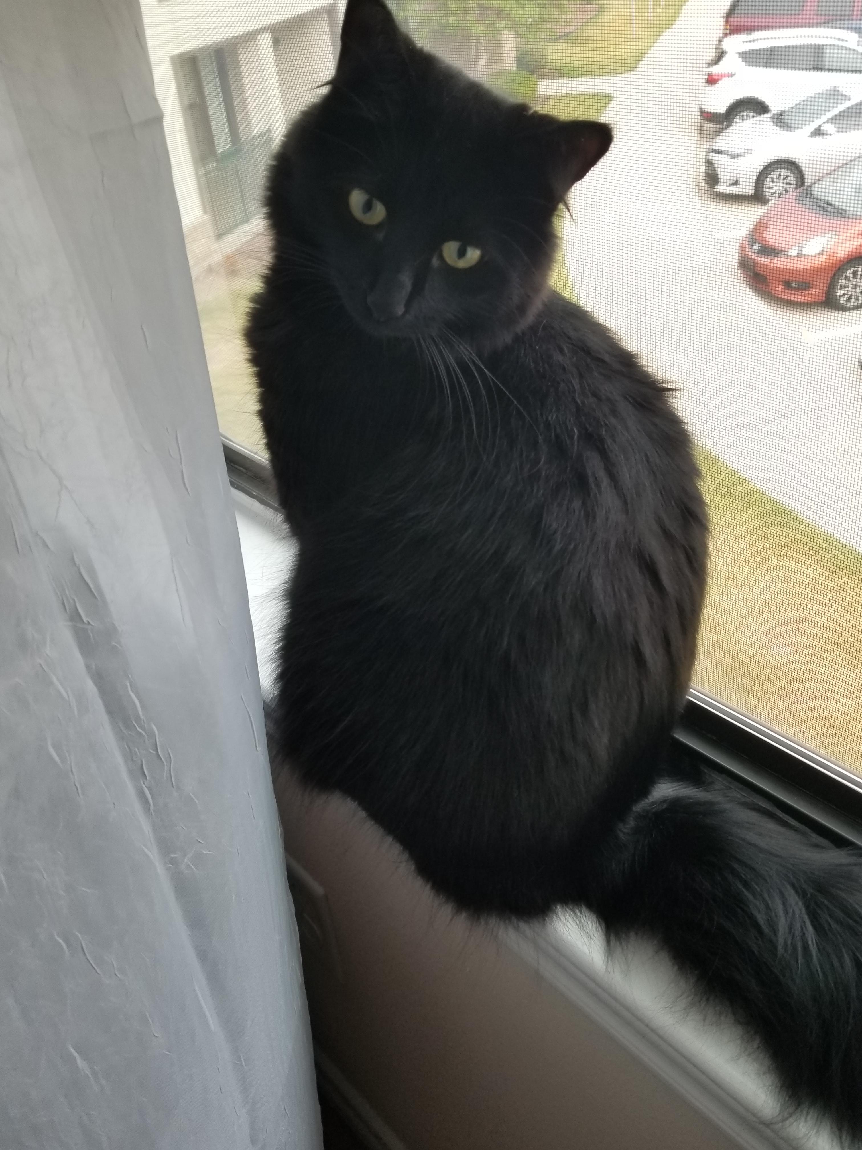 My favourite void | Scrolller