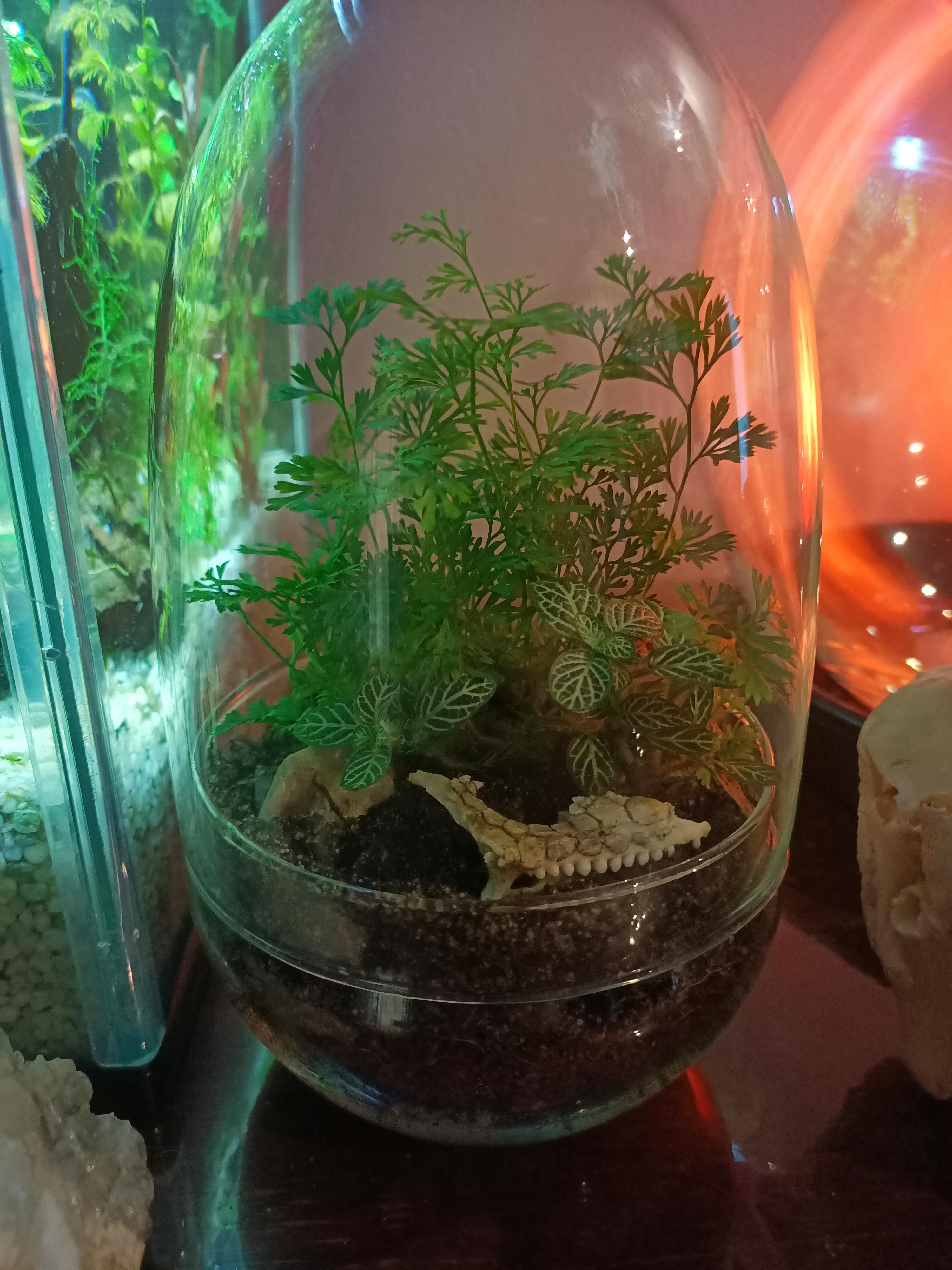 My first attempt | Scrolller