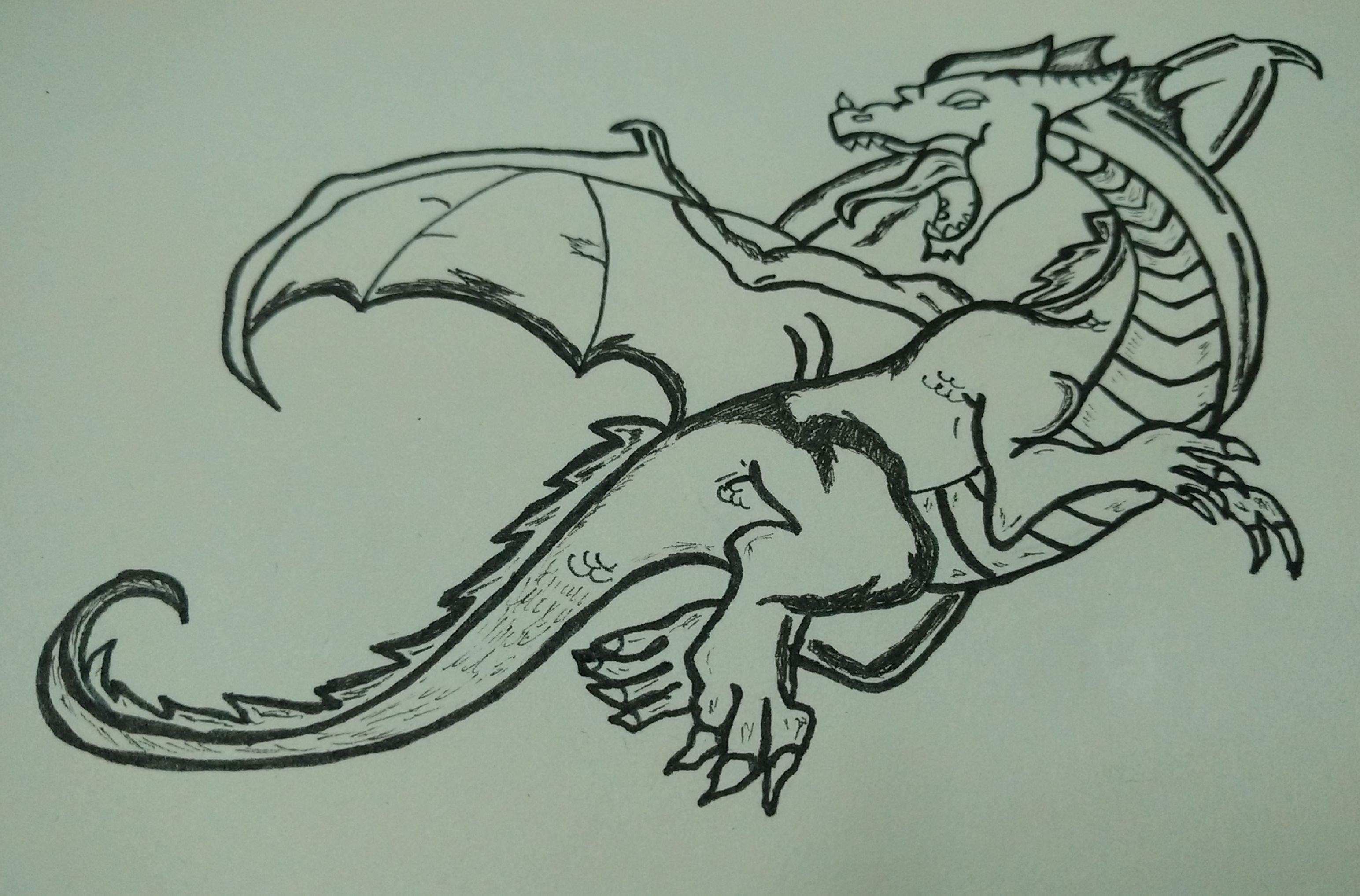 My first dragon sketch! | Scrolller